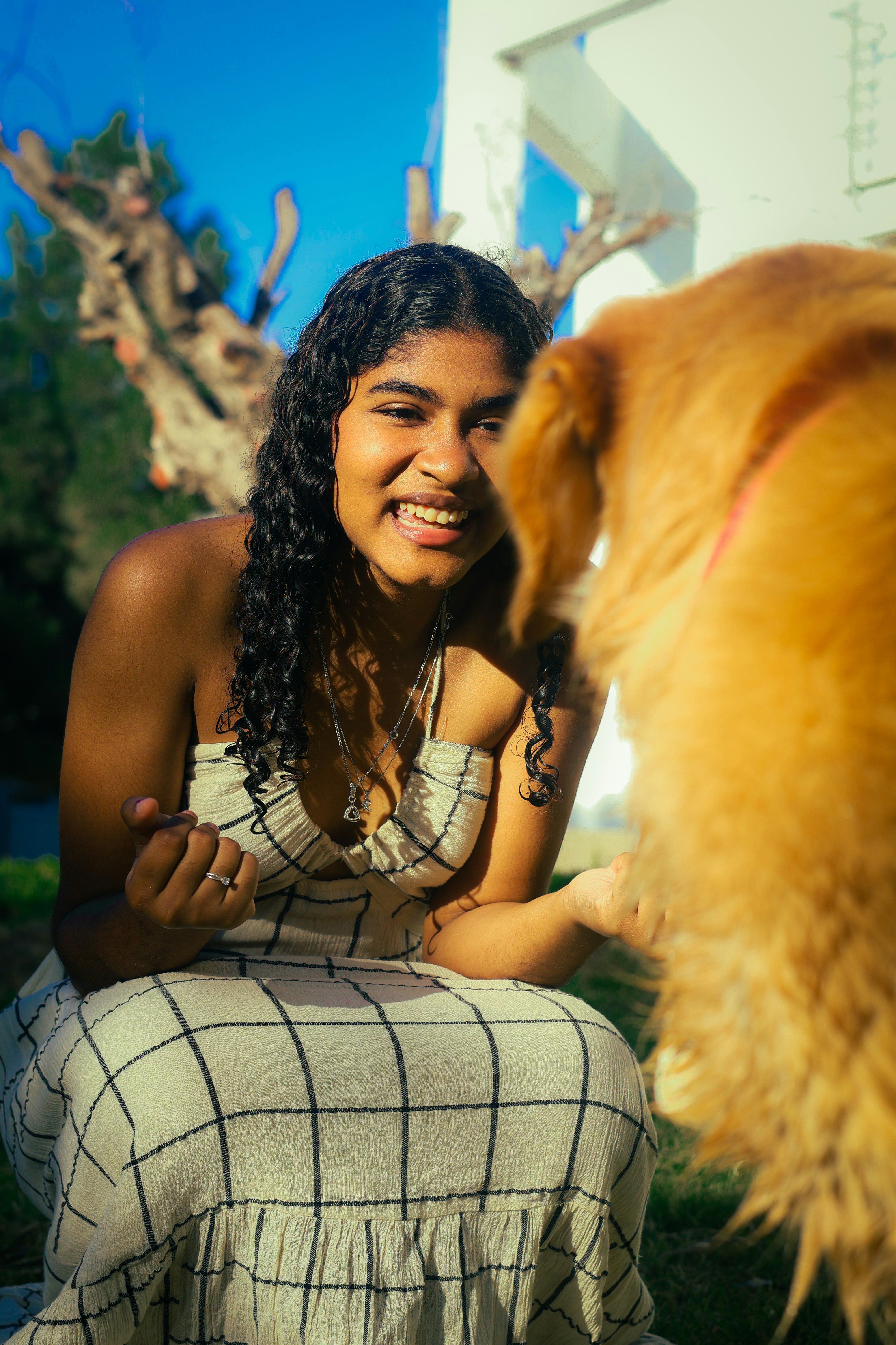 Sunlit Conversation: A Laugh Shared with a Golden Companion