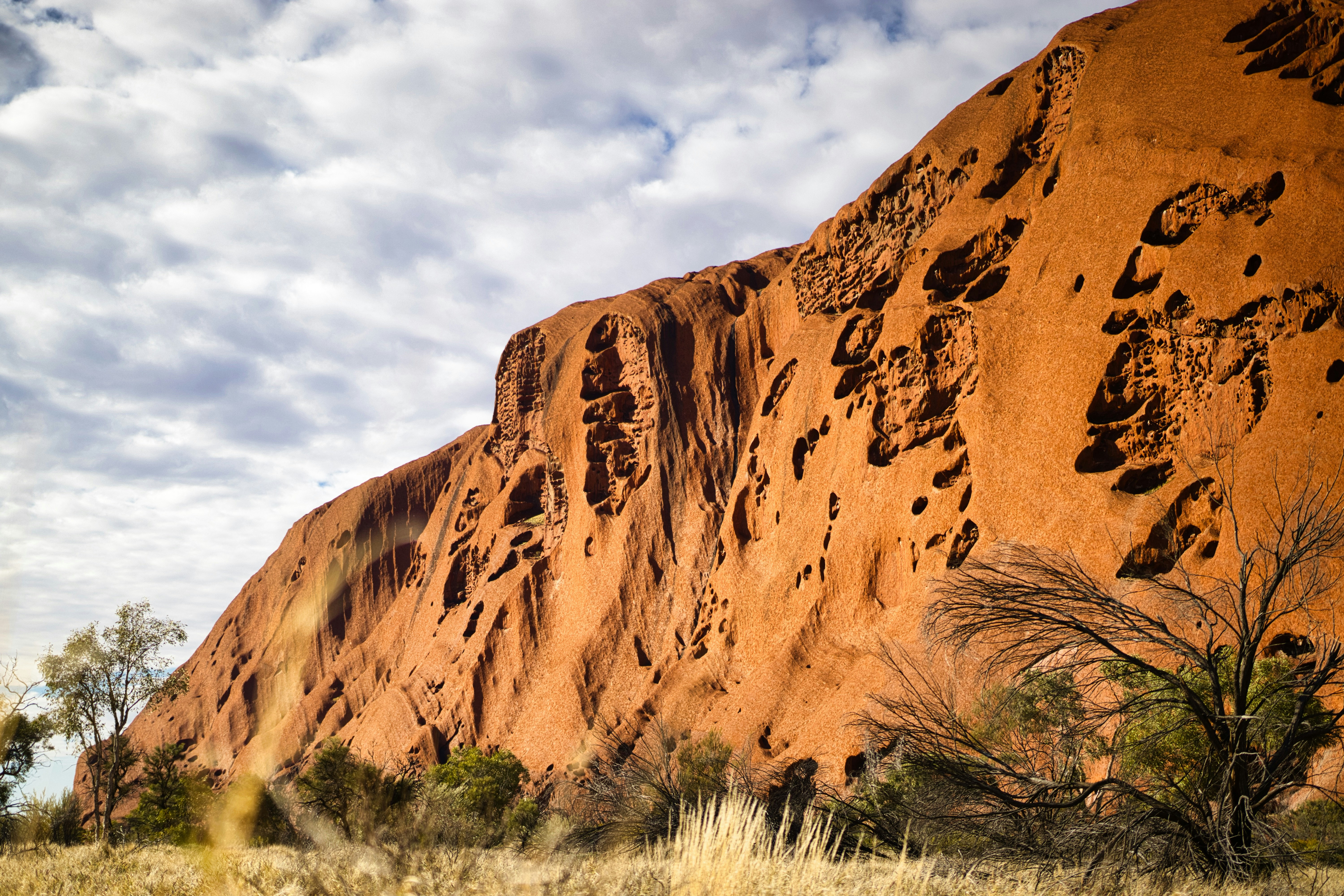 Echoes of the Ancient Earth