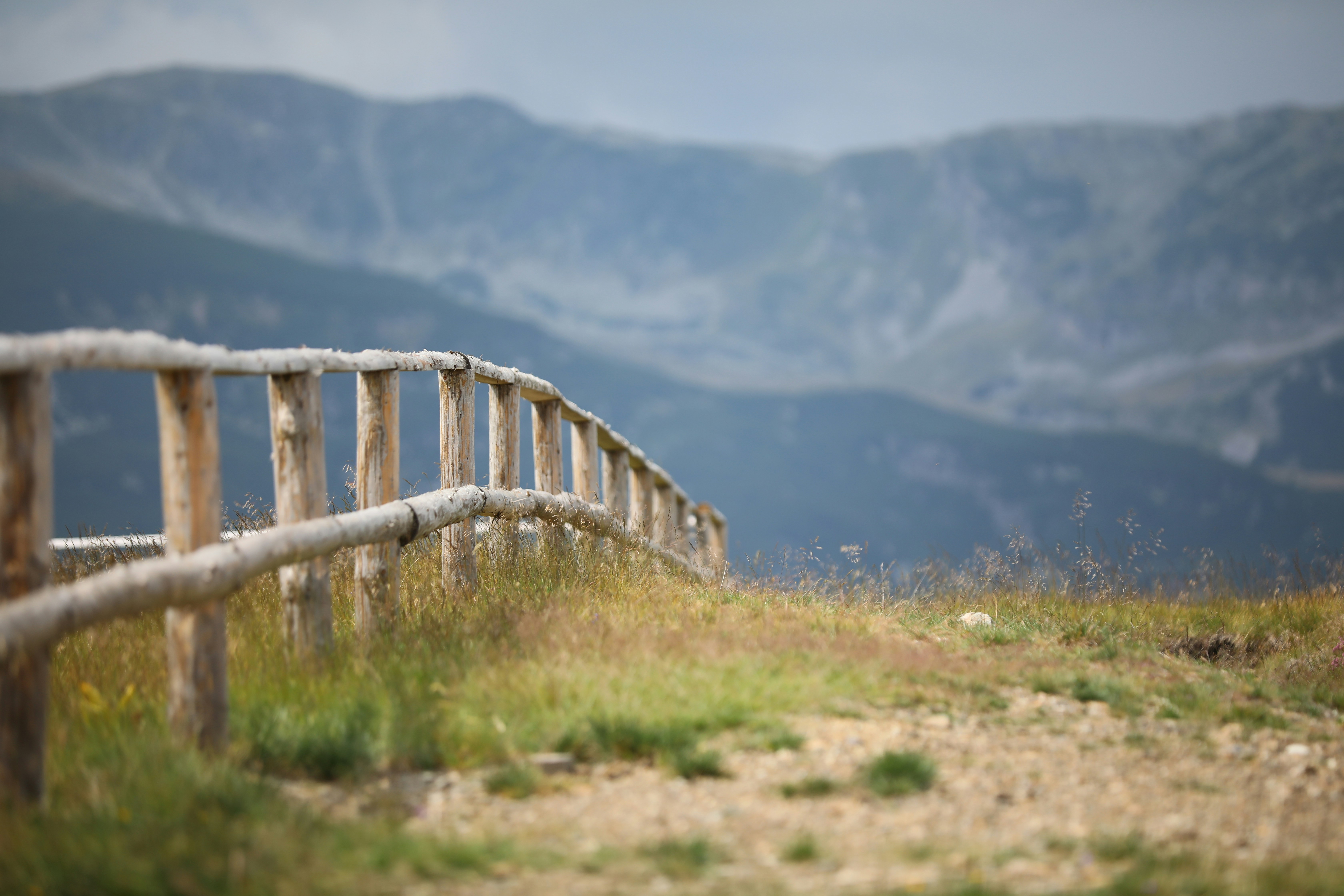 Winding Path Through Nature's Embrace