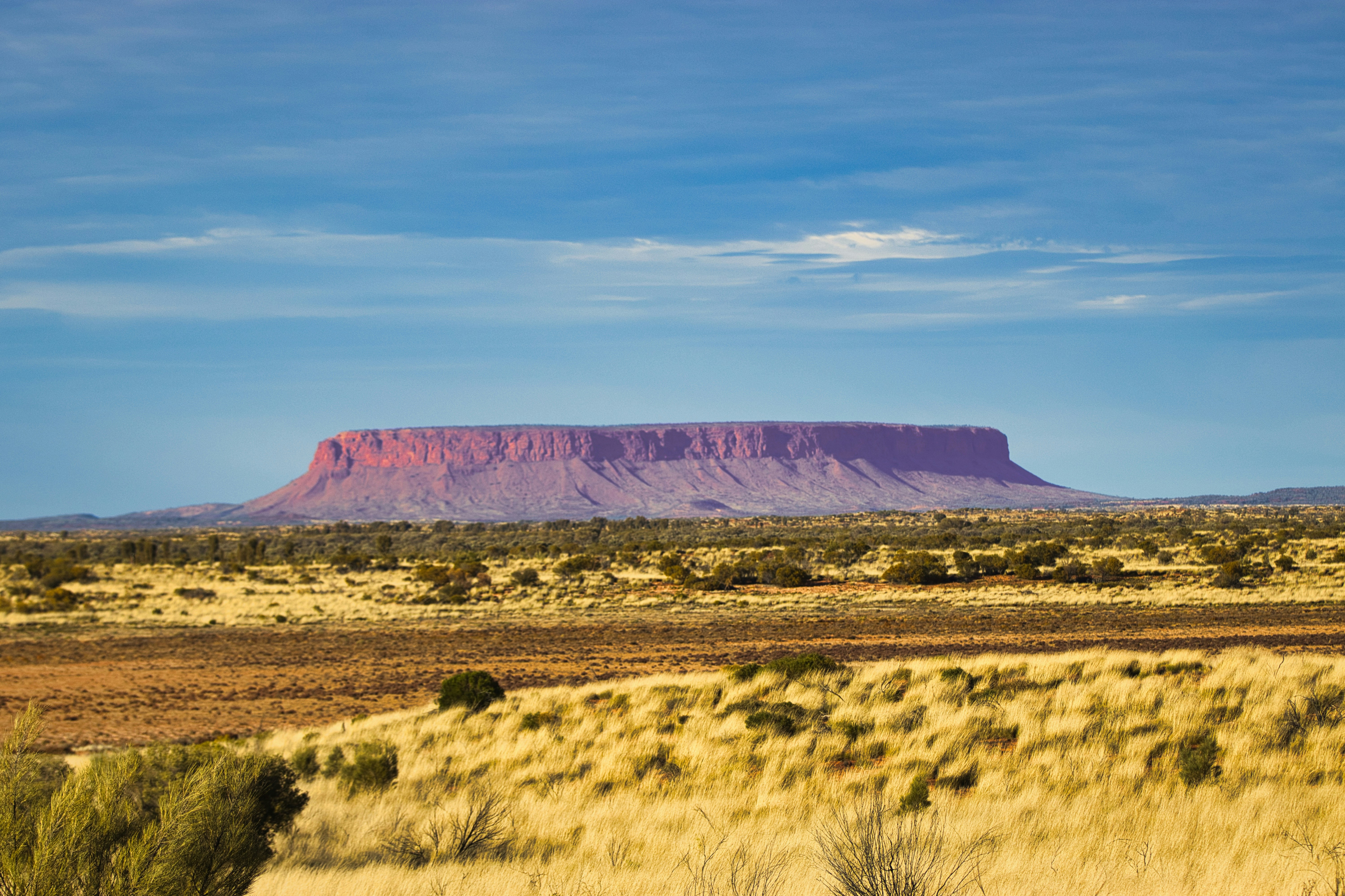 Red Mesa Rising Over the Golden Desert Plains