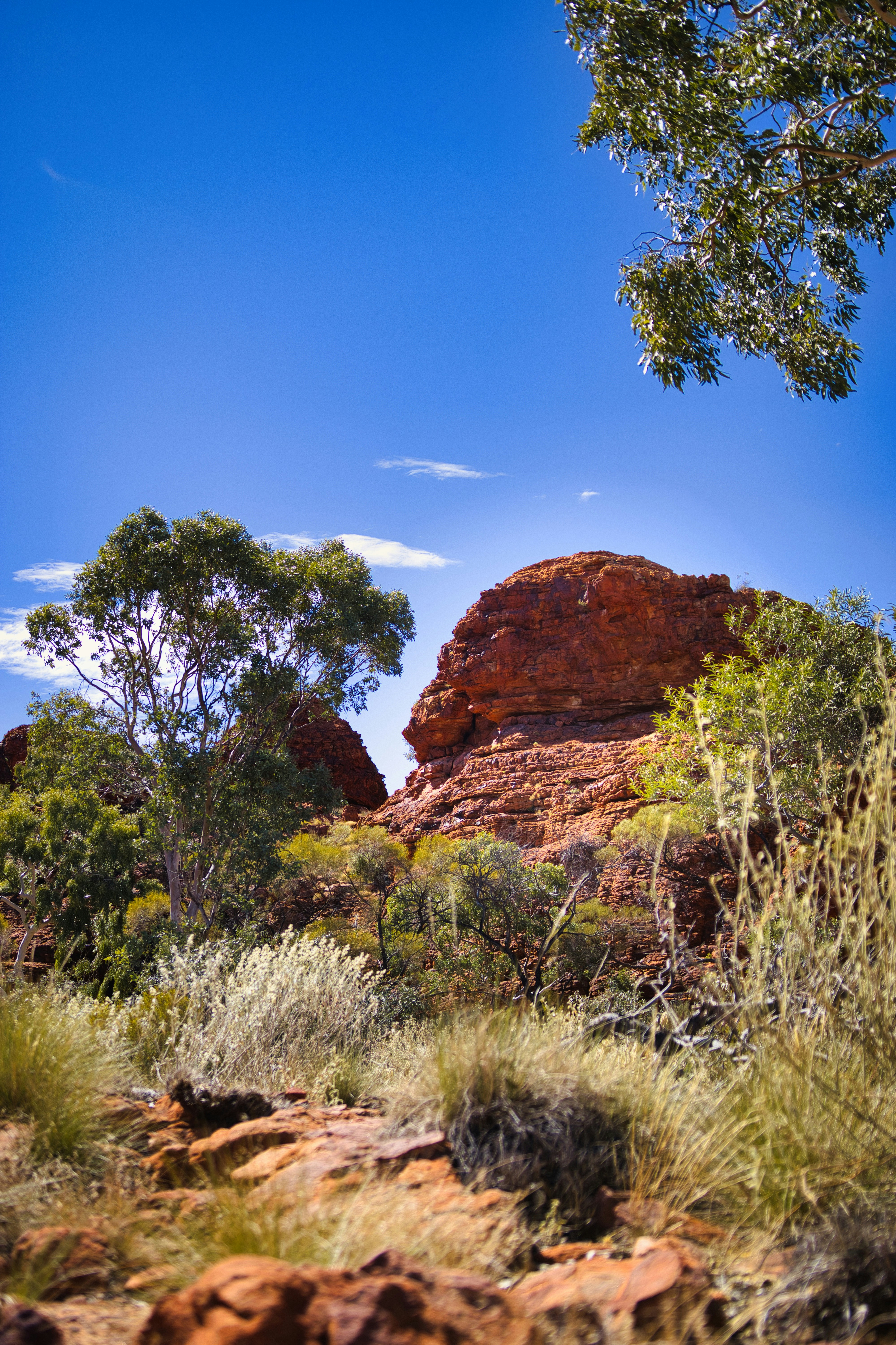 Red rock formations with sparse vegetation under blue sky.