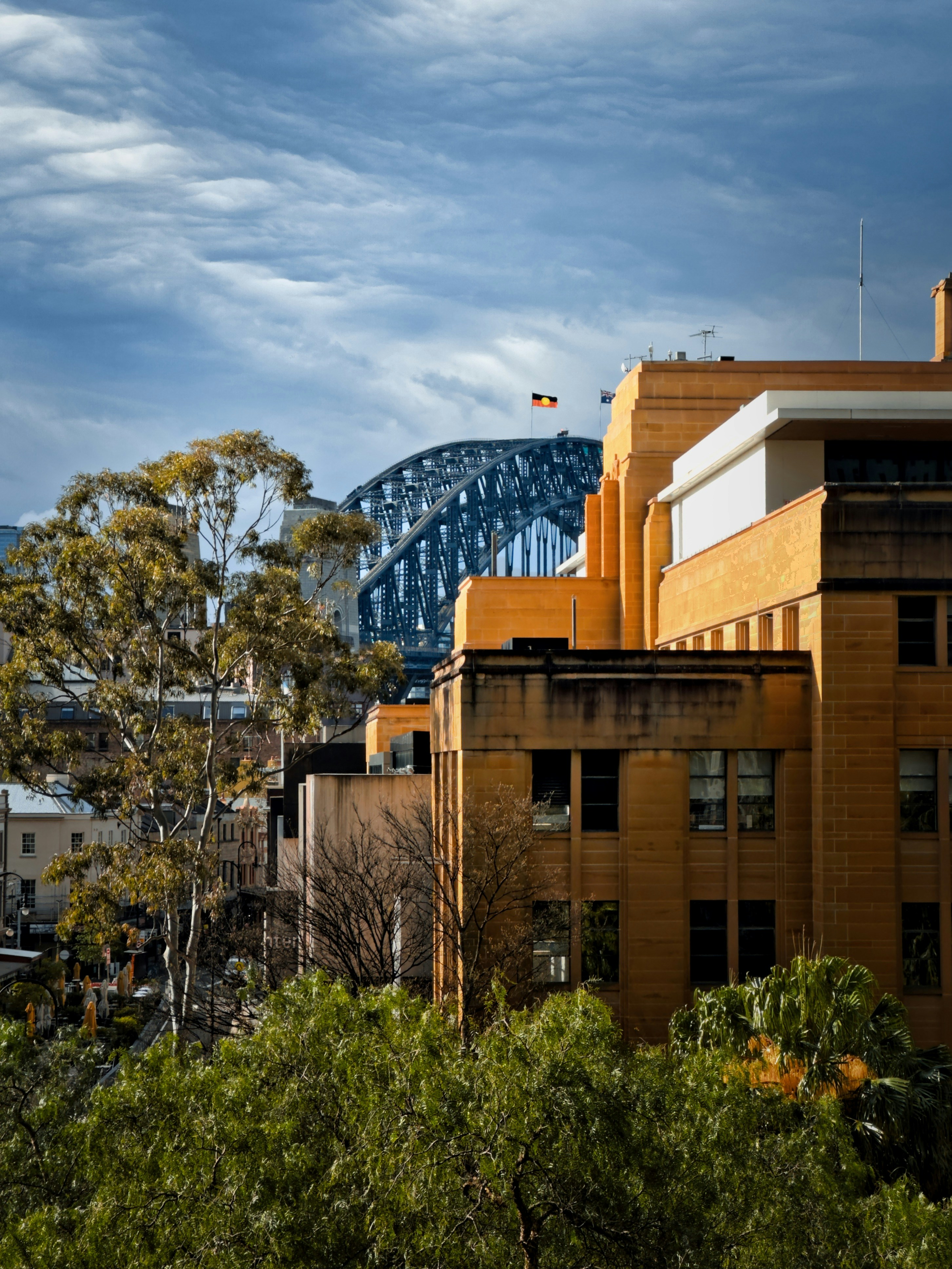 Urban Harmony: The Bridge and the Cityscape