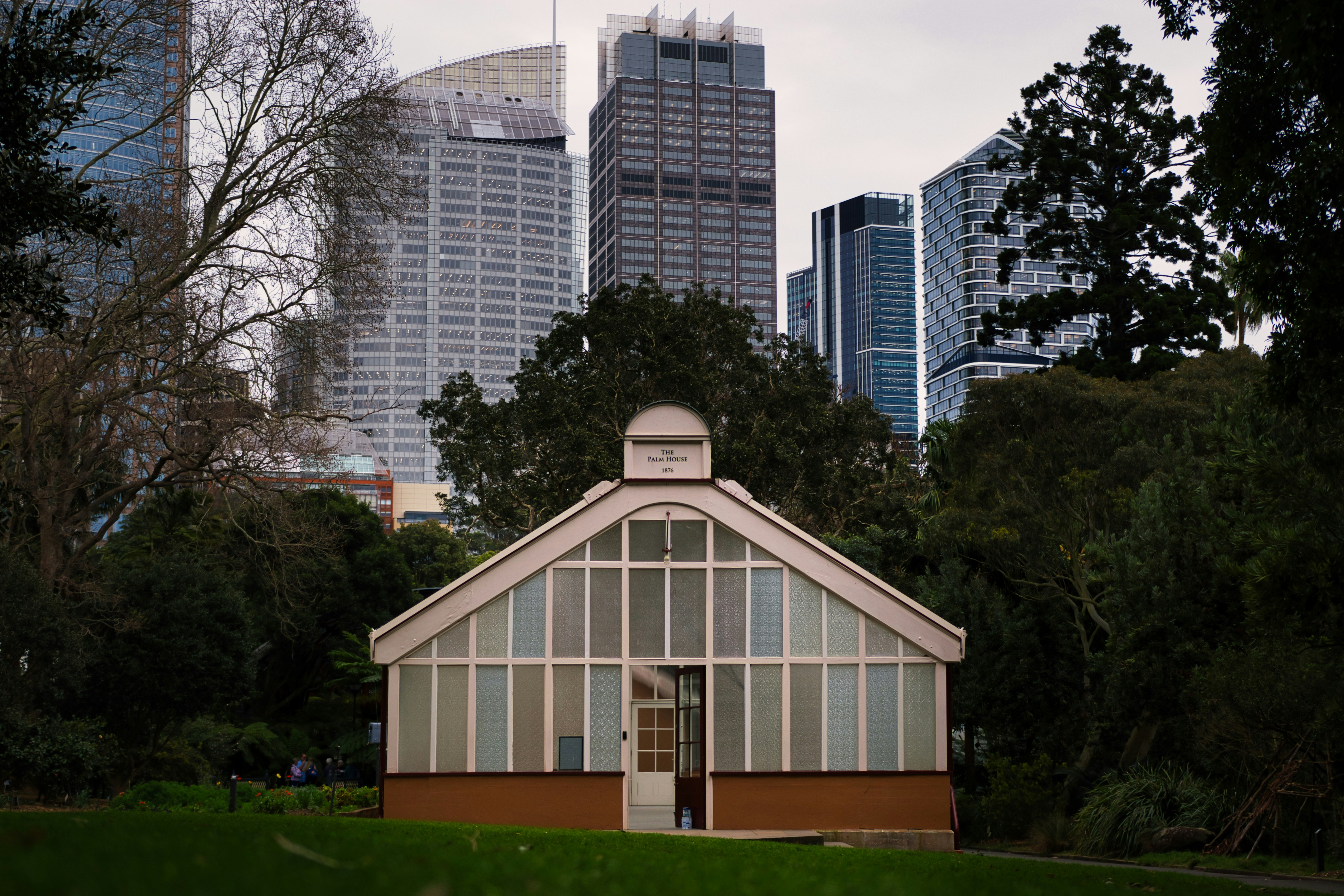 Glasshouse Convergence: A Quiet Park Scene Under a City Skyline