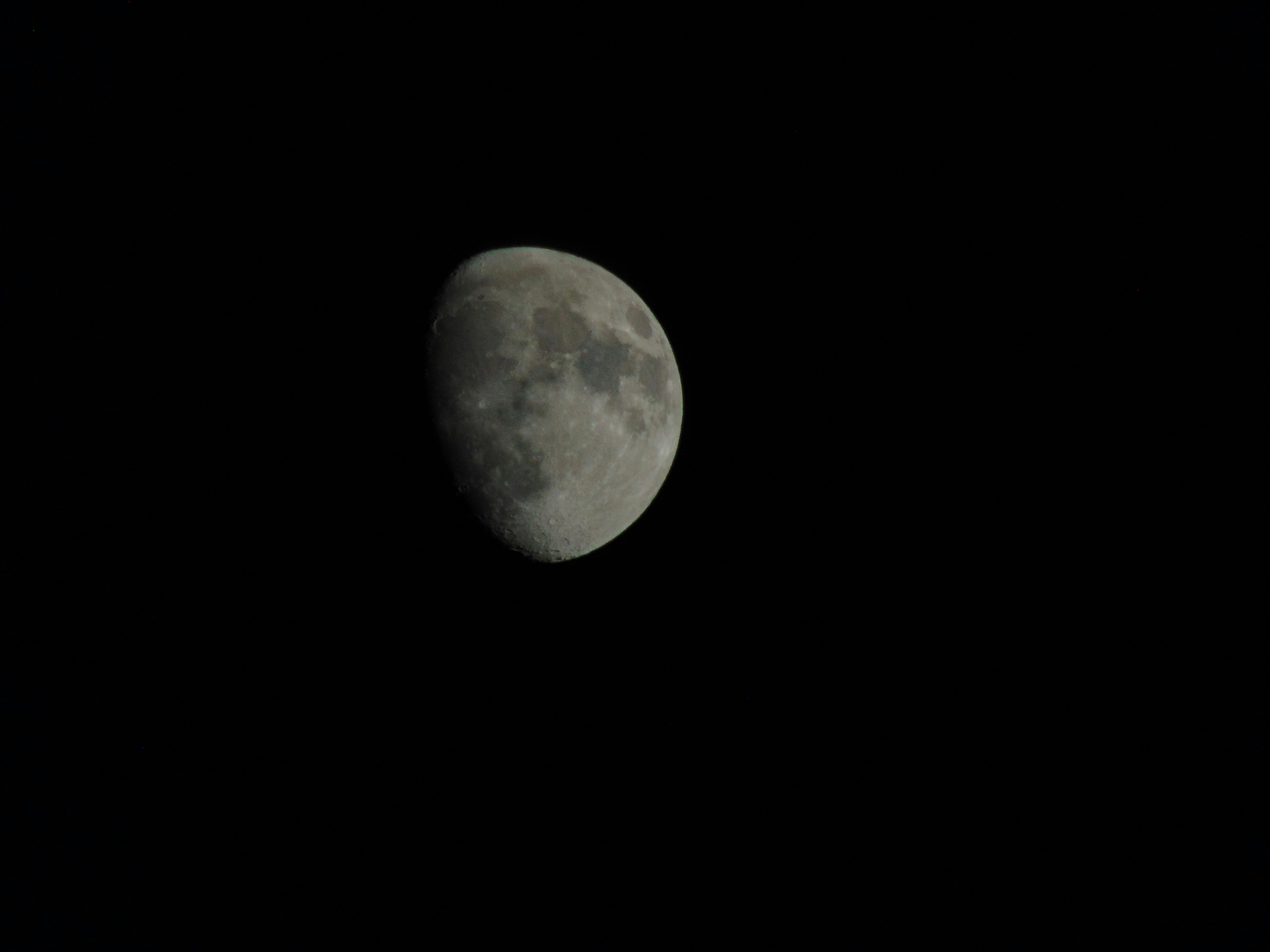 Lunar Serenade: A Glimpse into the Night Sky