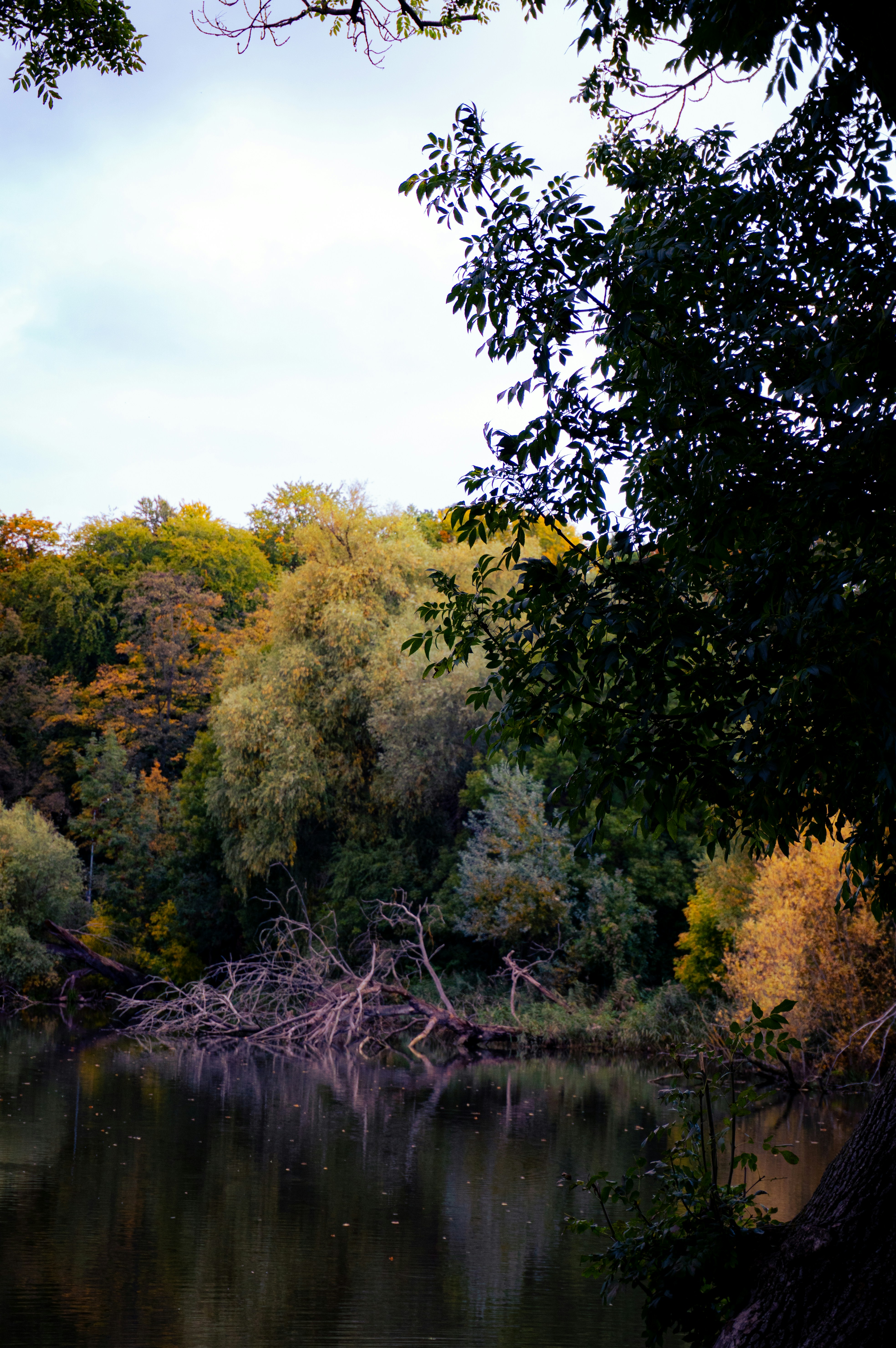 Whispers of Autumn by the Water's Edge