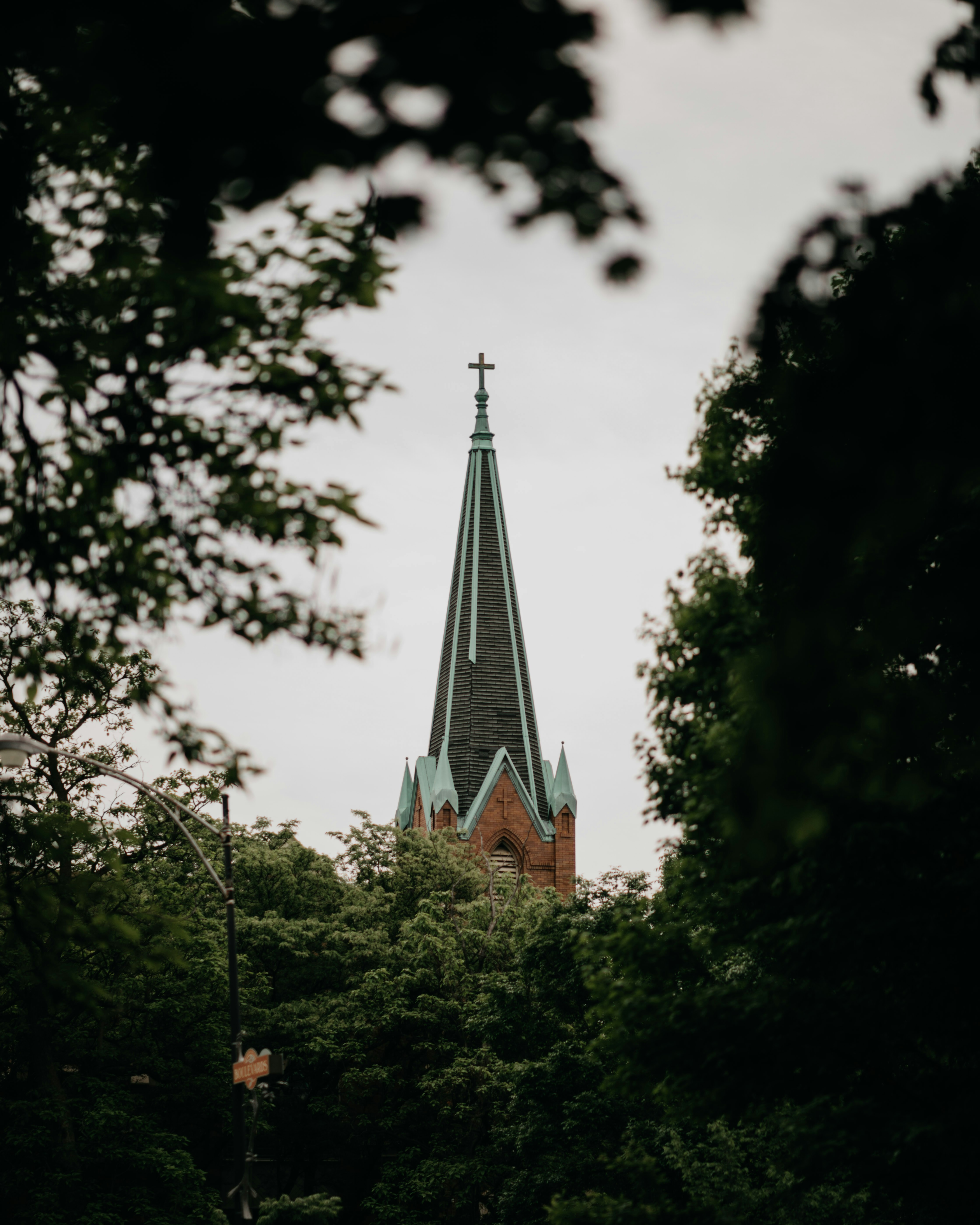 church center | Church steeple viewed through dark green trees