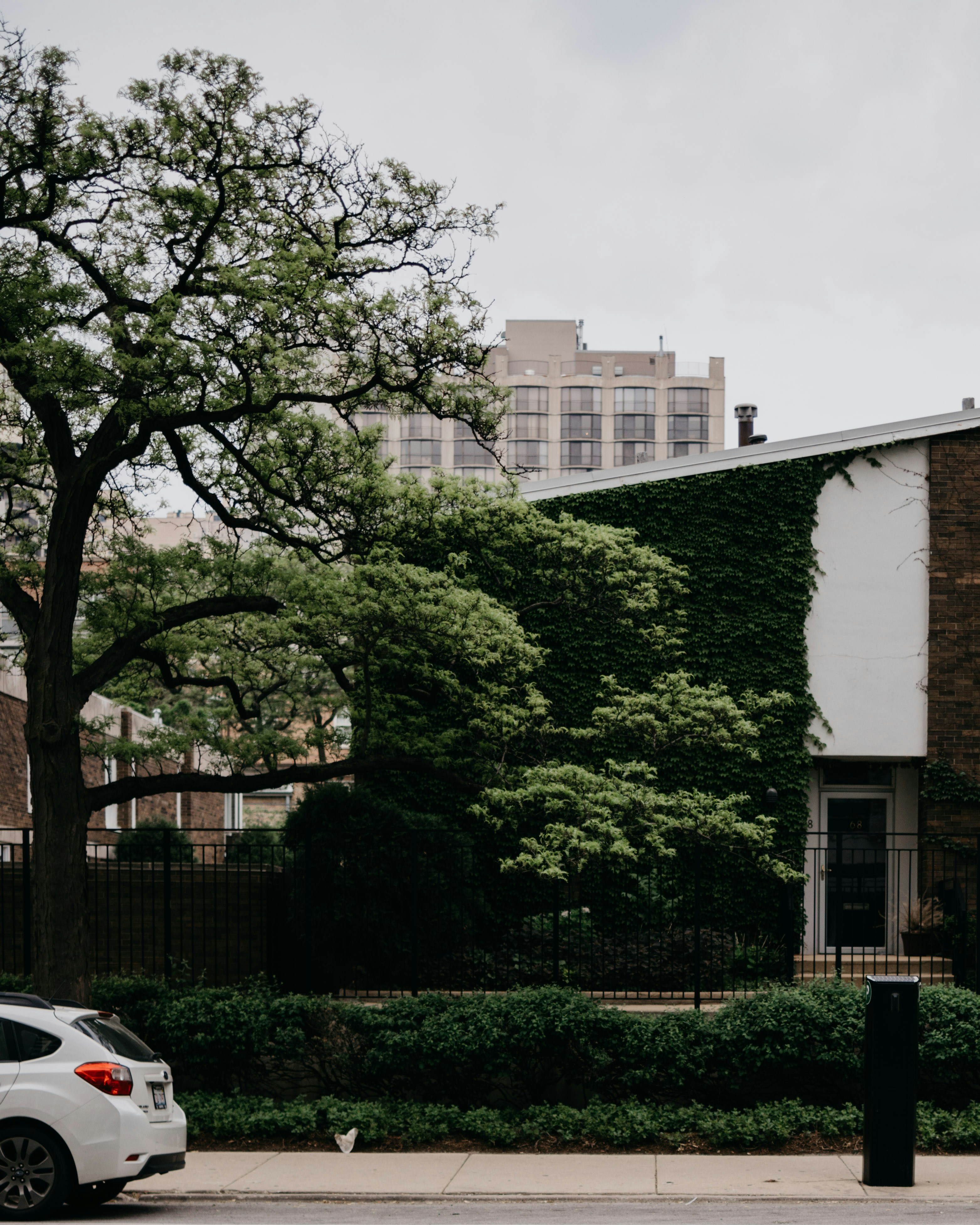 Urban Oasis: Nature Meets Architecture
