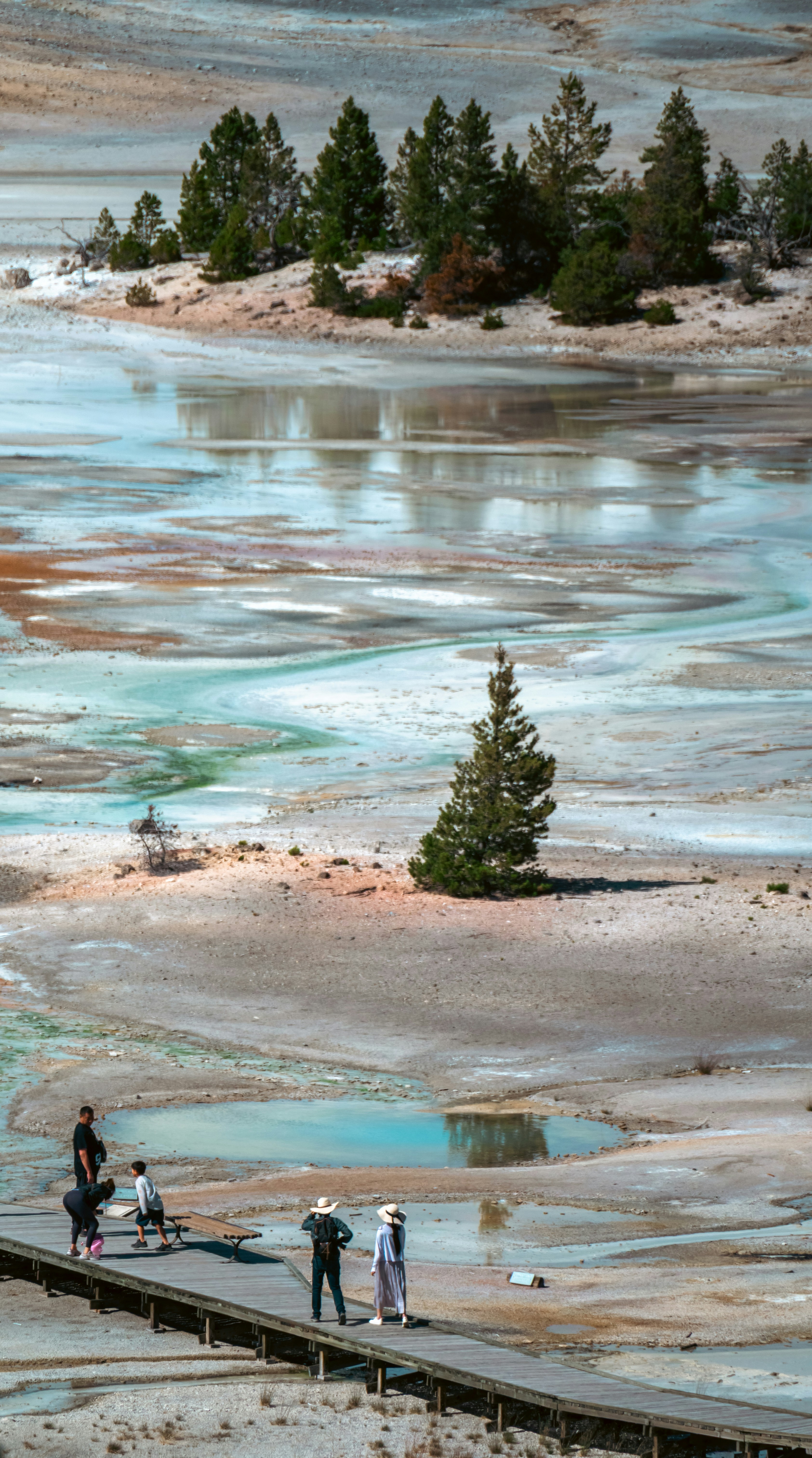 Visitors explore the vibrant geothermal features of a national park, surrounded by pools of turquoise and earthy tones. Unique tree formations punctuate the landscape.
