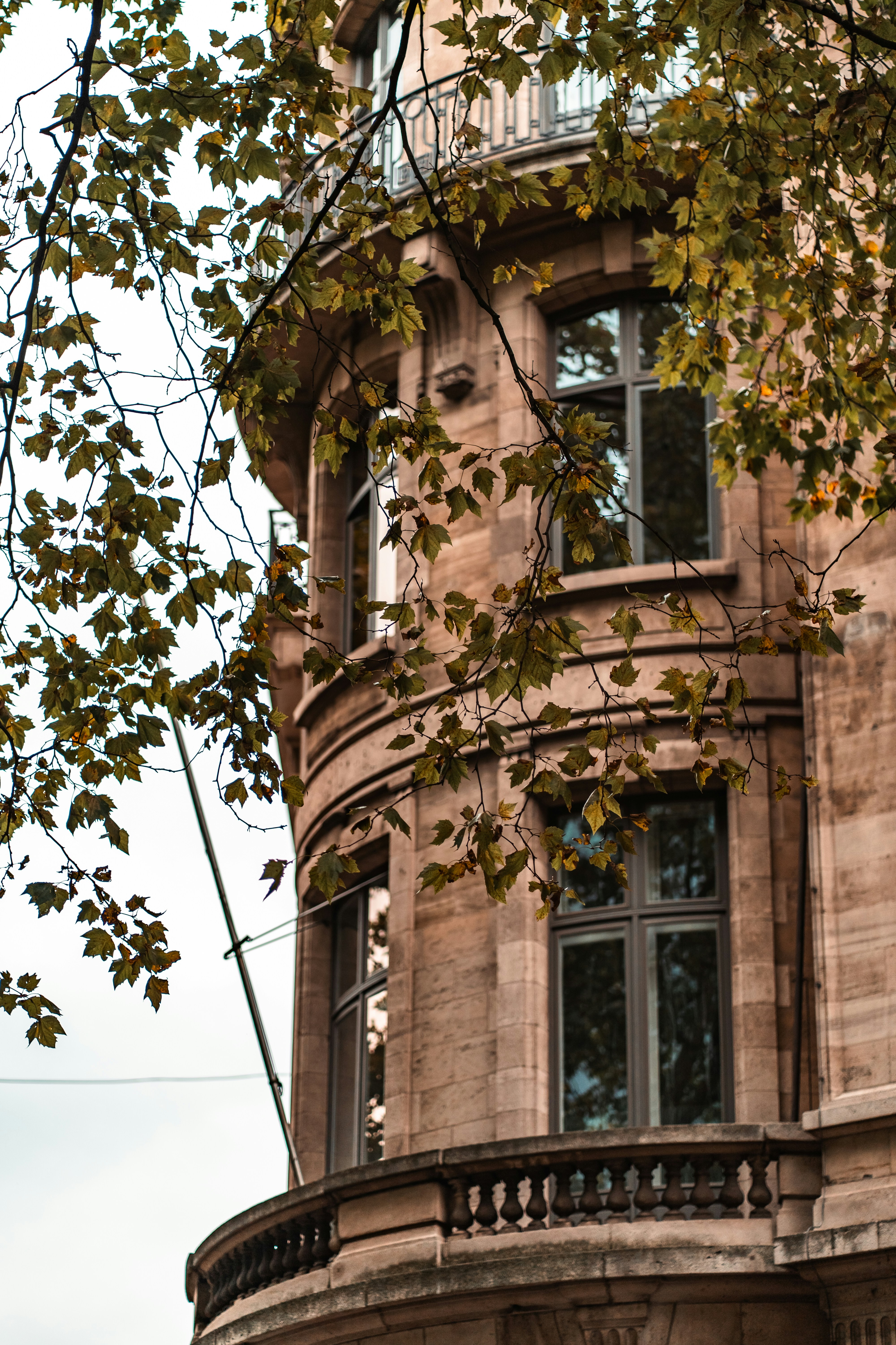 Elegant corner of a historic building framed by the delicate branches of autumn leaves.