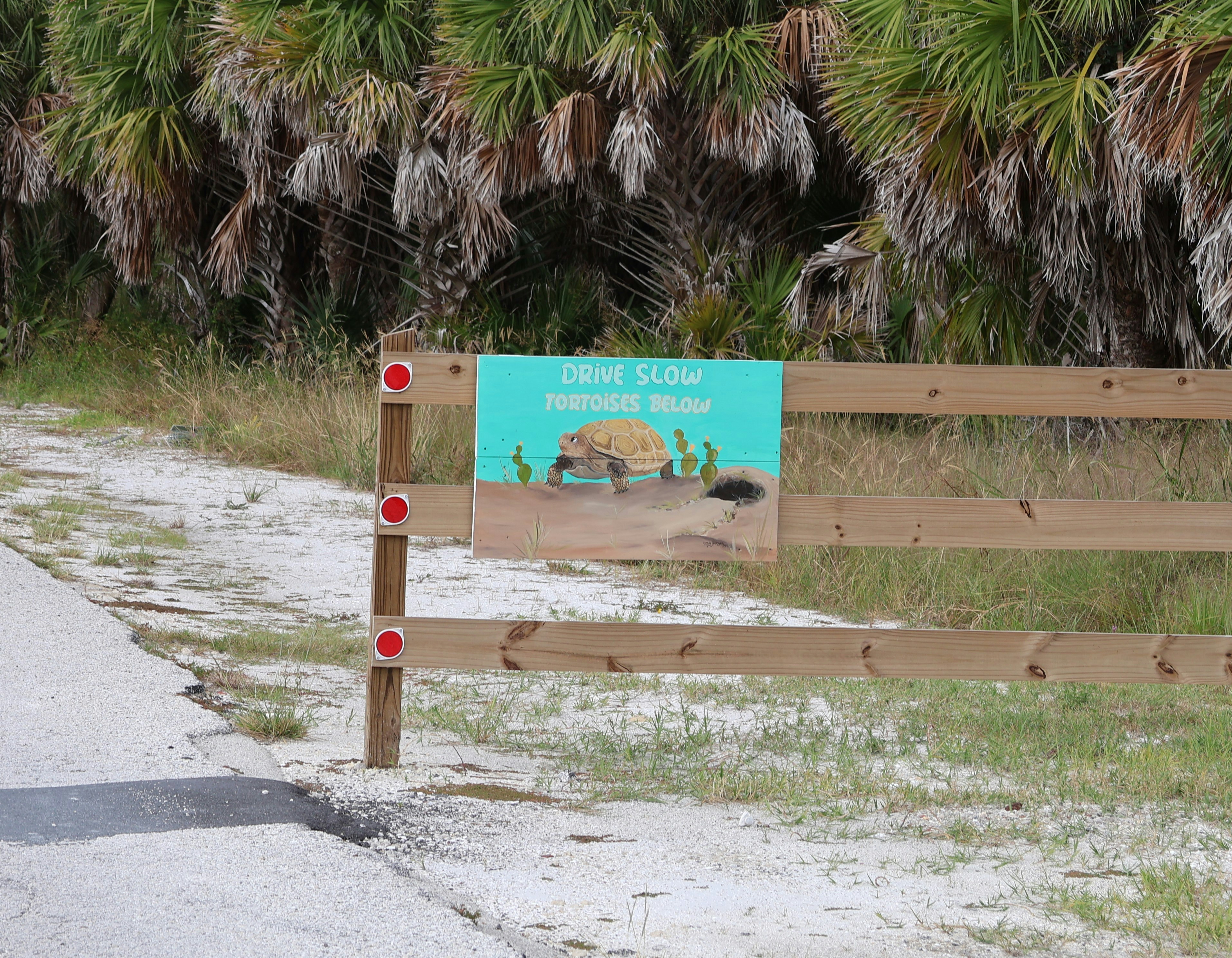 Gopher tortoise sign on wooden fence