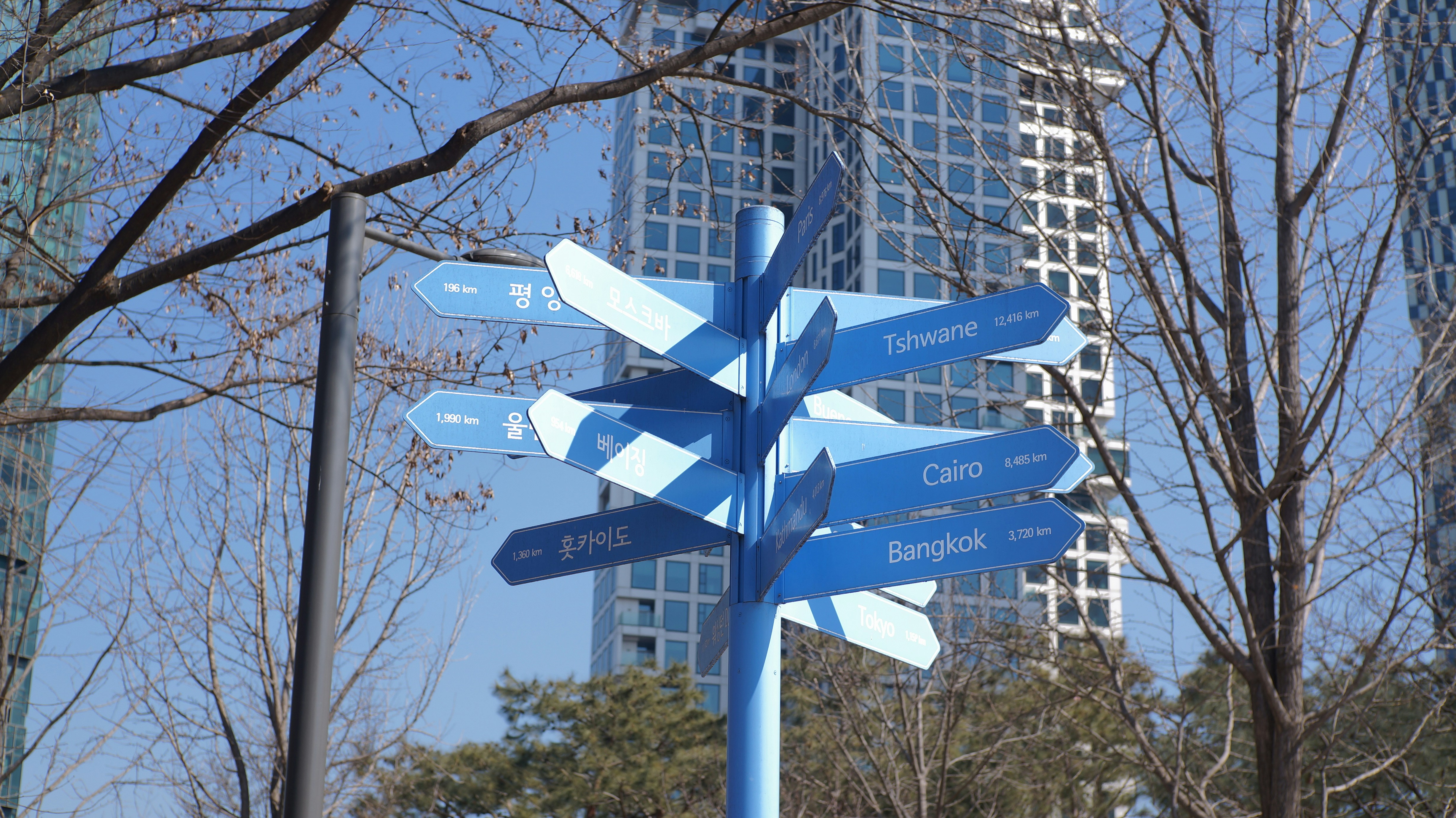 Blue signpost with city names against buildings