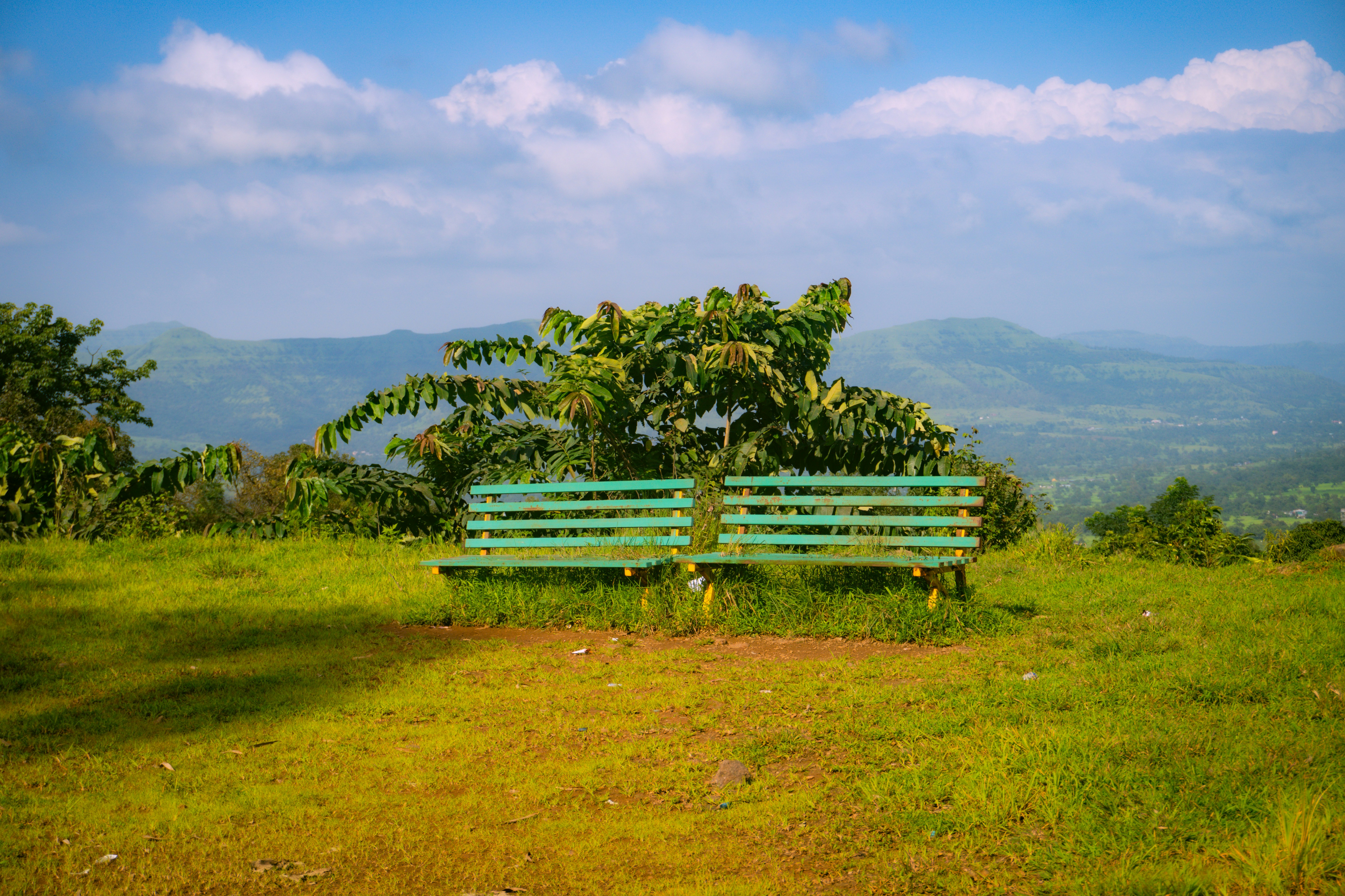 Serenity on the Summit