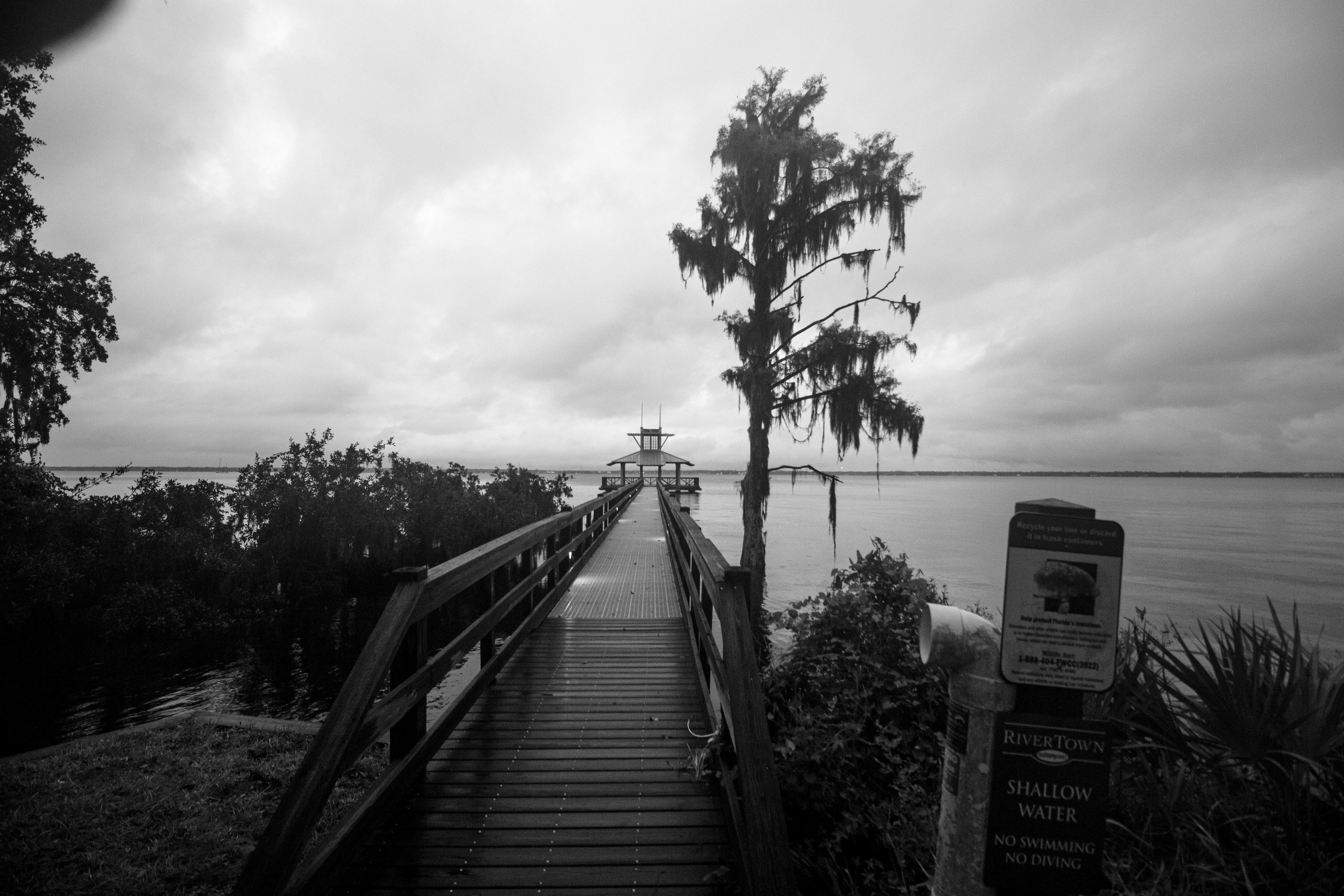 End of the Walkway: Weathered Boardwalk Toward a Distant Pier