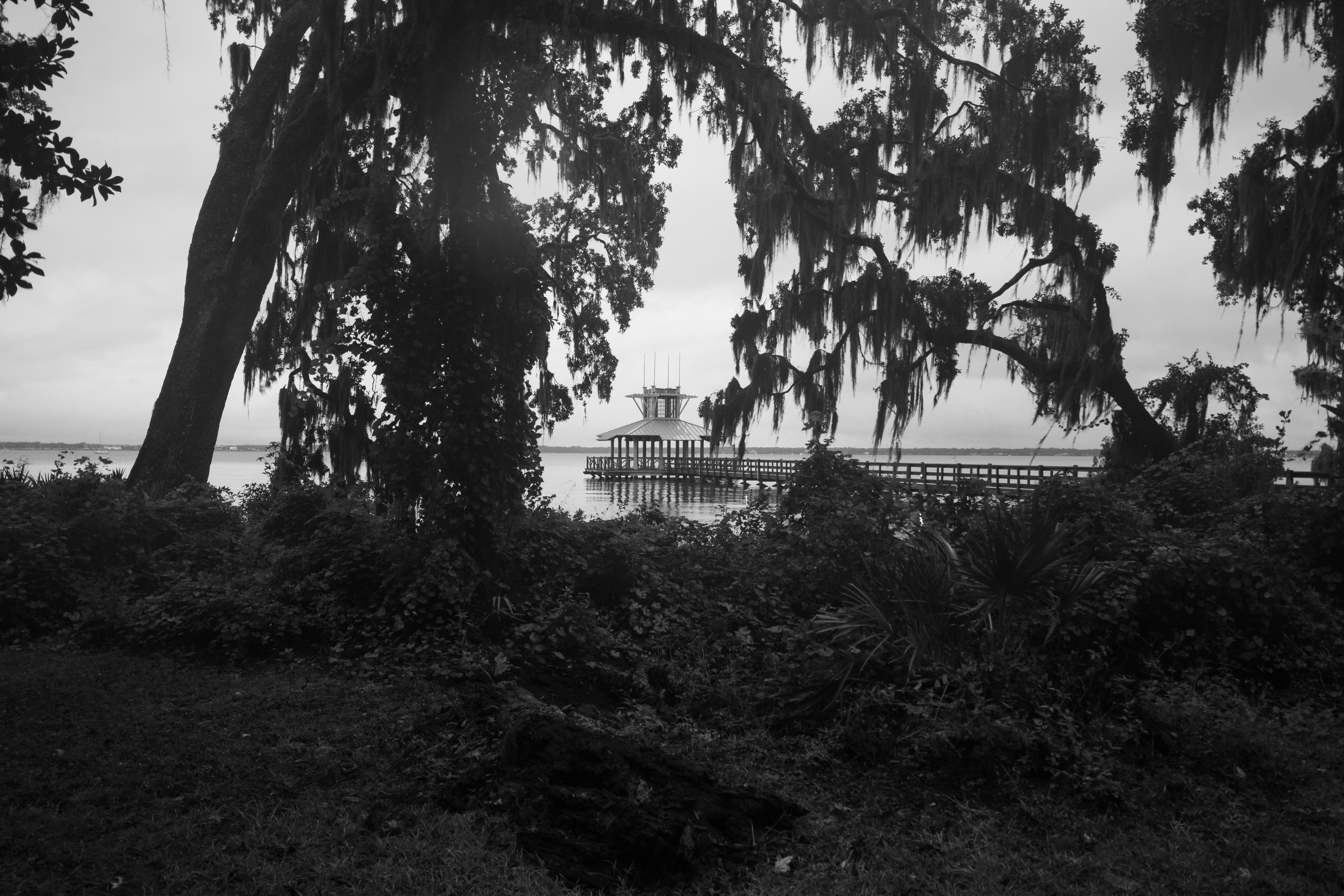 Whispers of the Bayou: A Serene Retreat