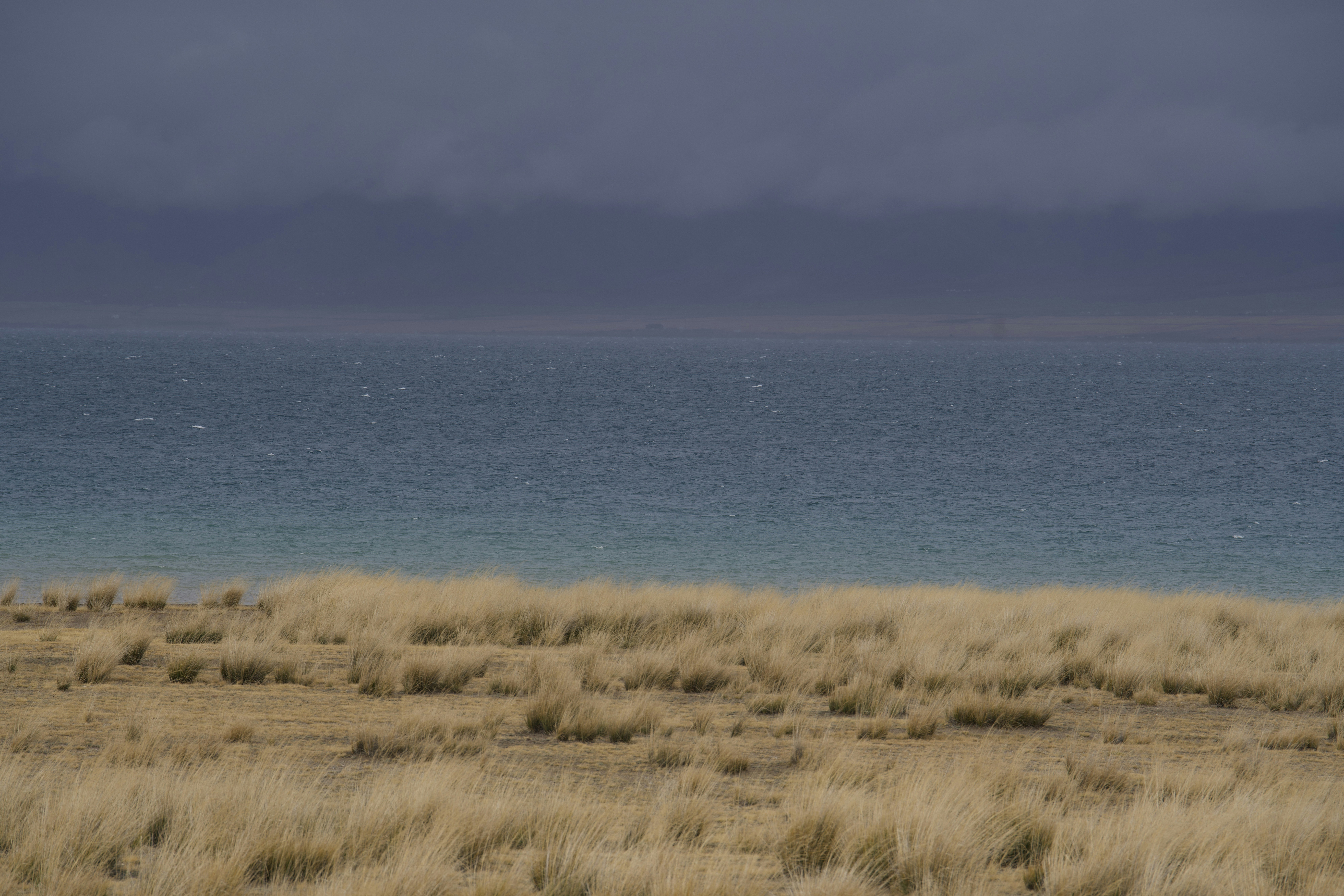 Horizon Edge: Dune Grasses Framing a Moody Sea