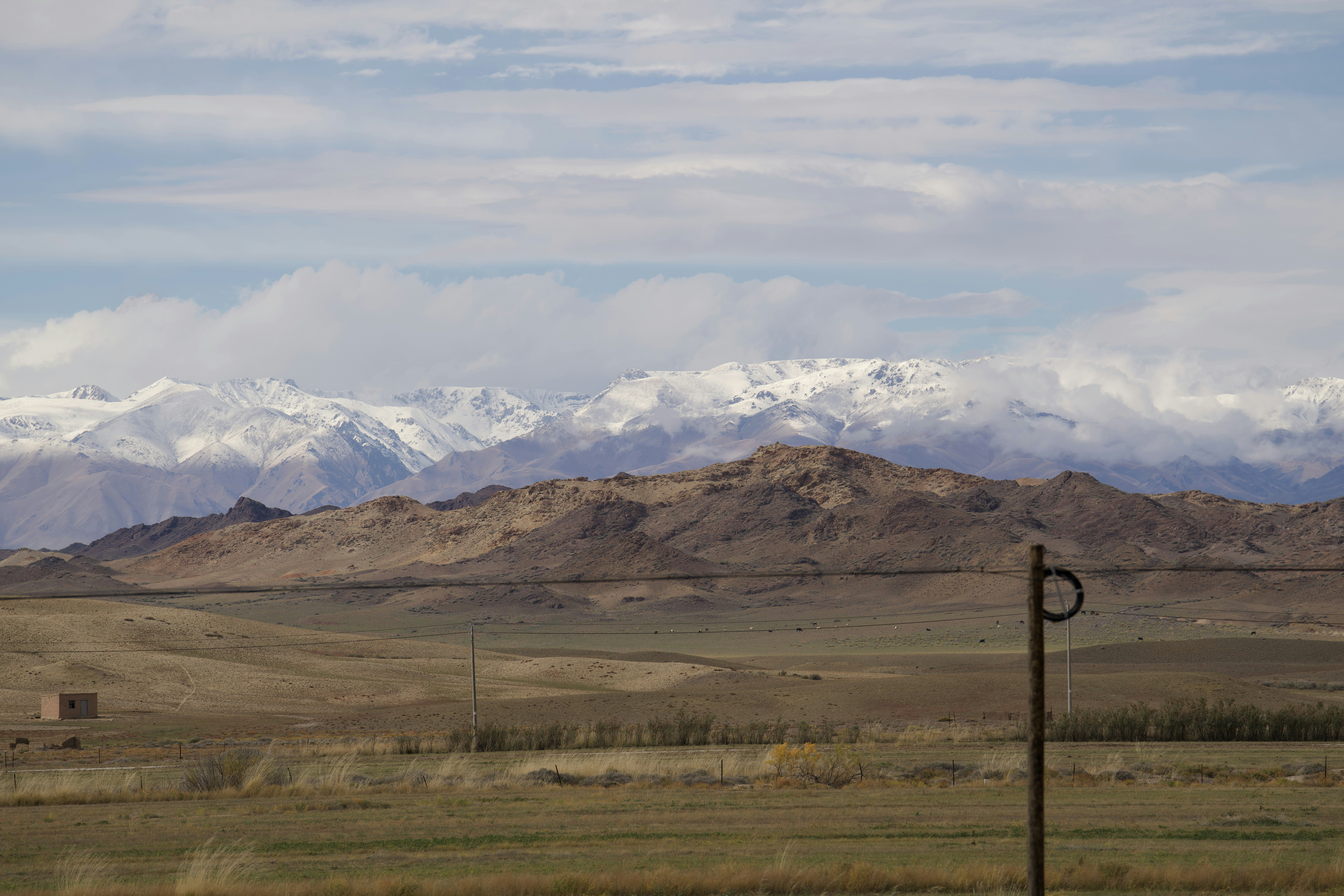Snow-capped mountains loom over expansive grasslands, framed by a distant structure and a telephone pole. A tranquil landscape showcasing nature's grandeur.