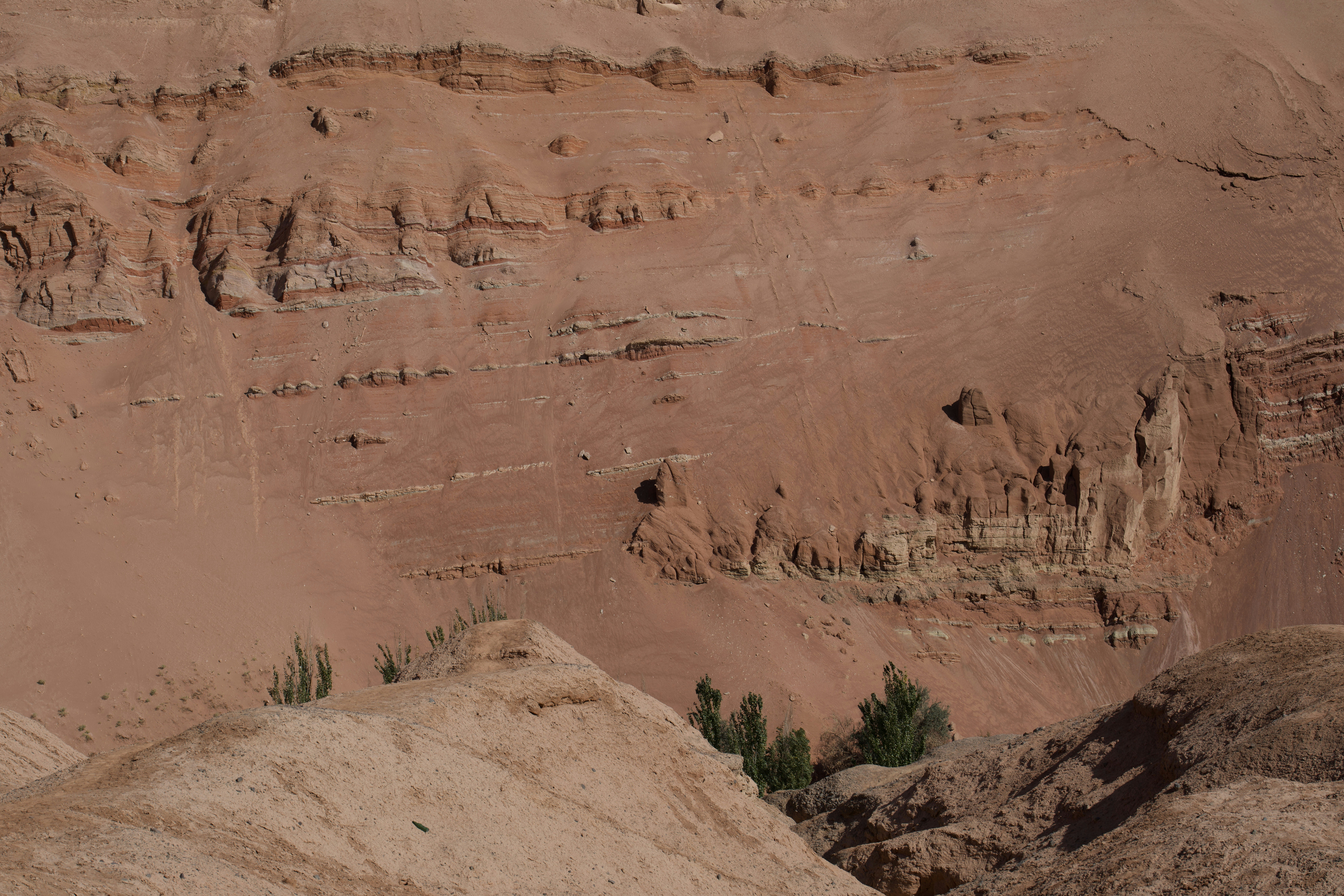 Textured red rock formations with sparse greenery, illustrating the stark beauty of a desert landscape. The erosion patterns tell a story of time and natural elements.