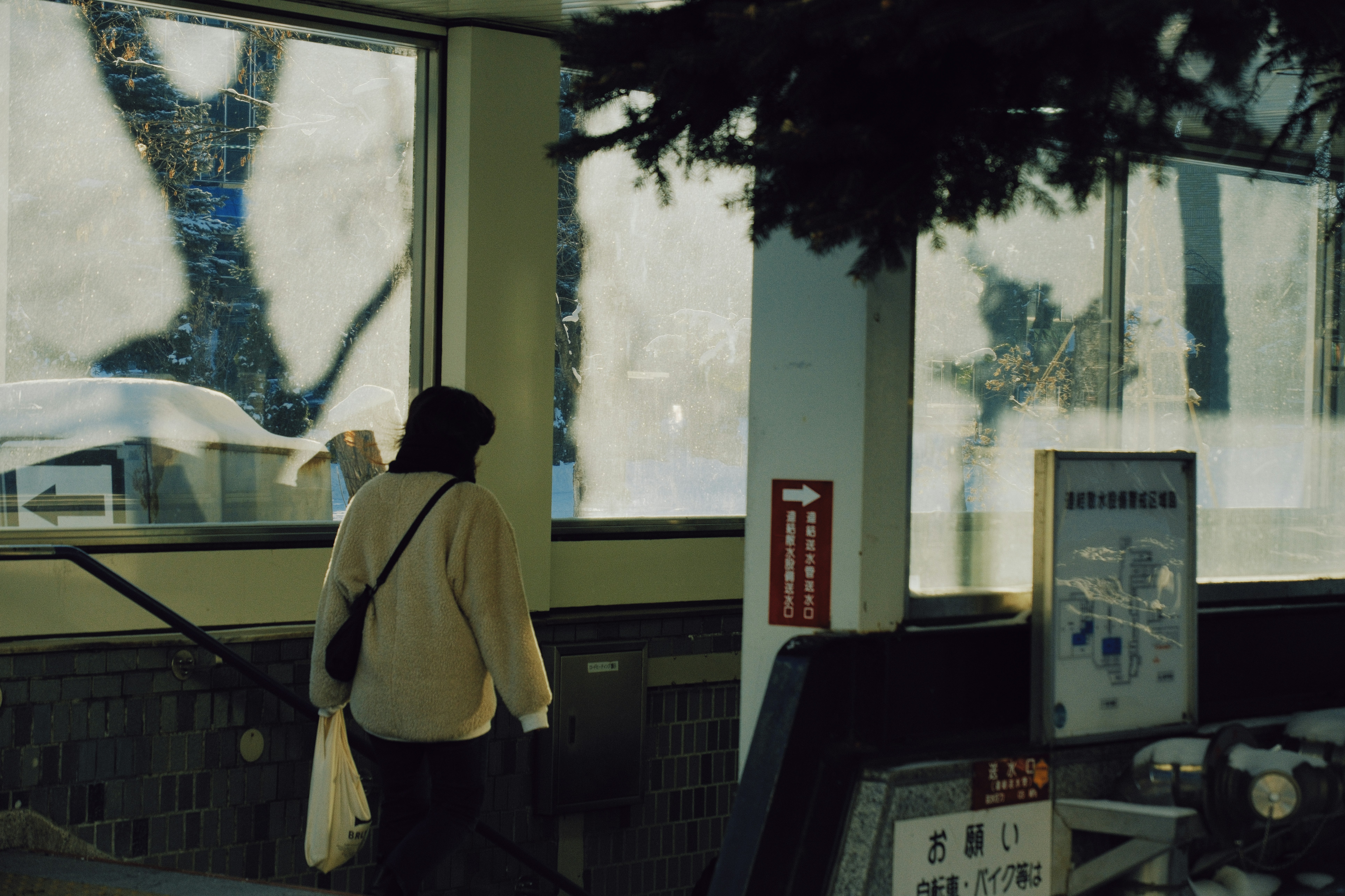 Woman walking down stairs carrying grocery bags