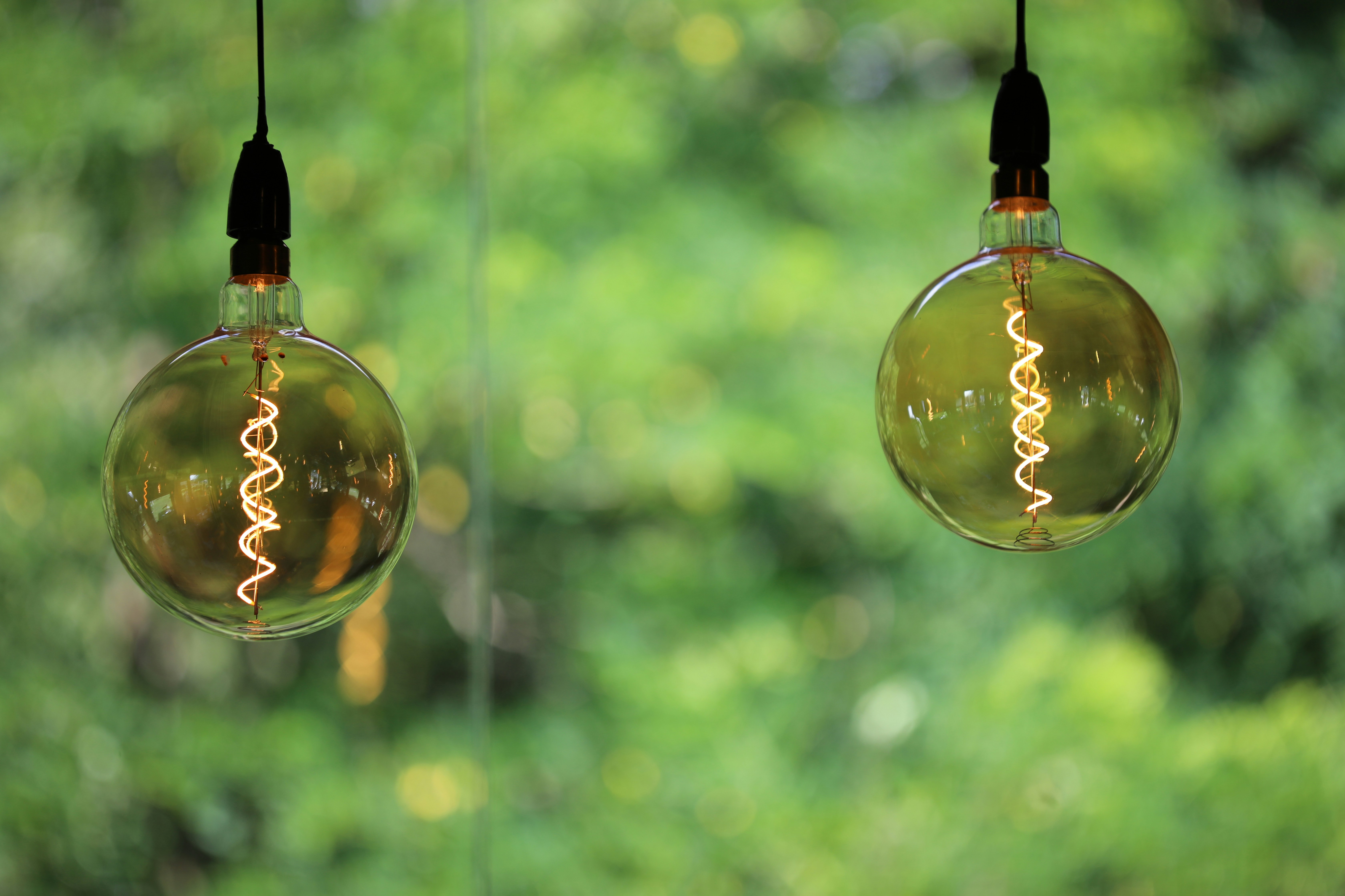 Illuminated Whispers: A Dance of Light and Nature