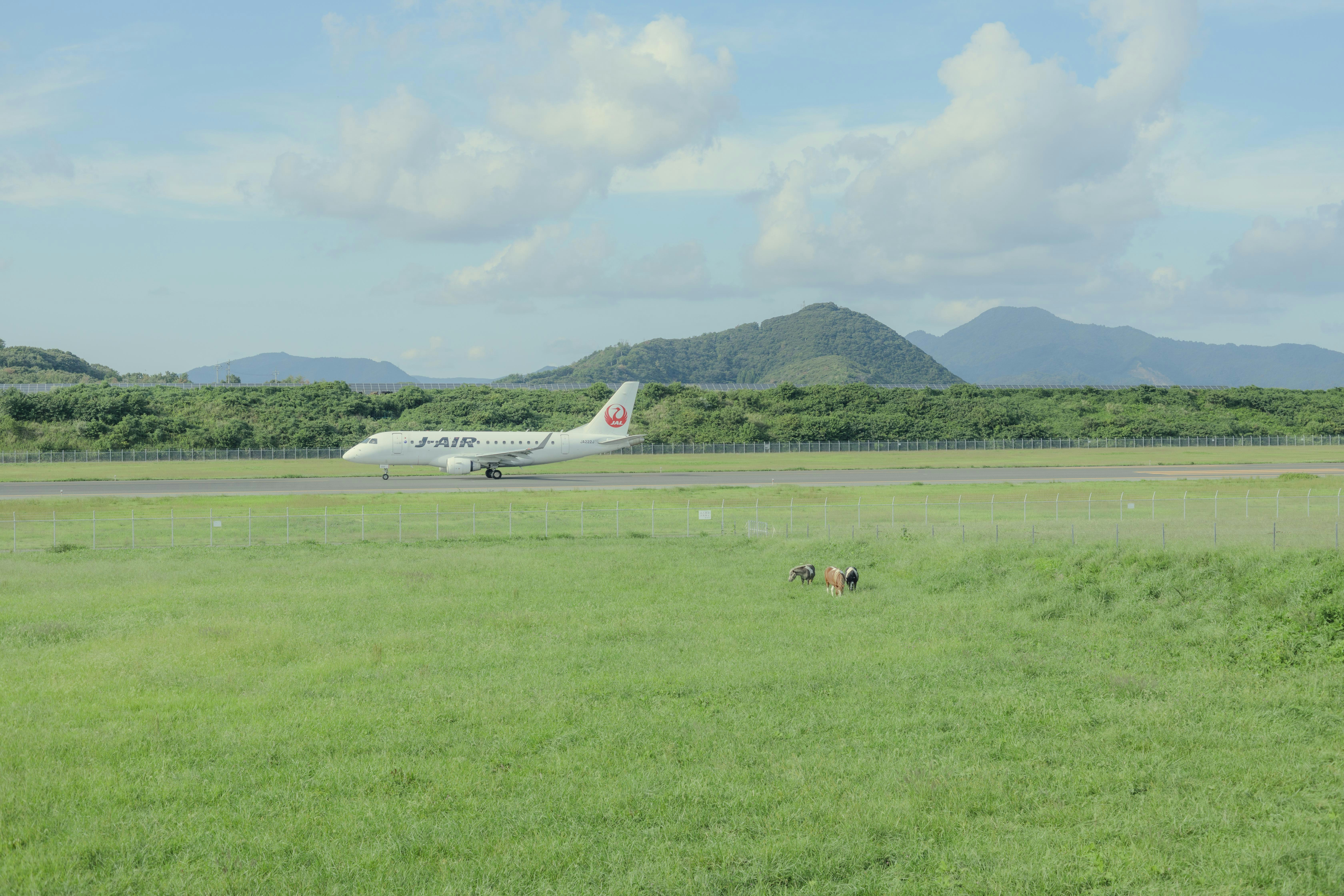 Airplane on a runway with green grass and mountains.