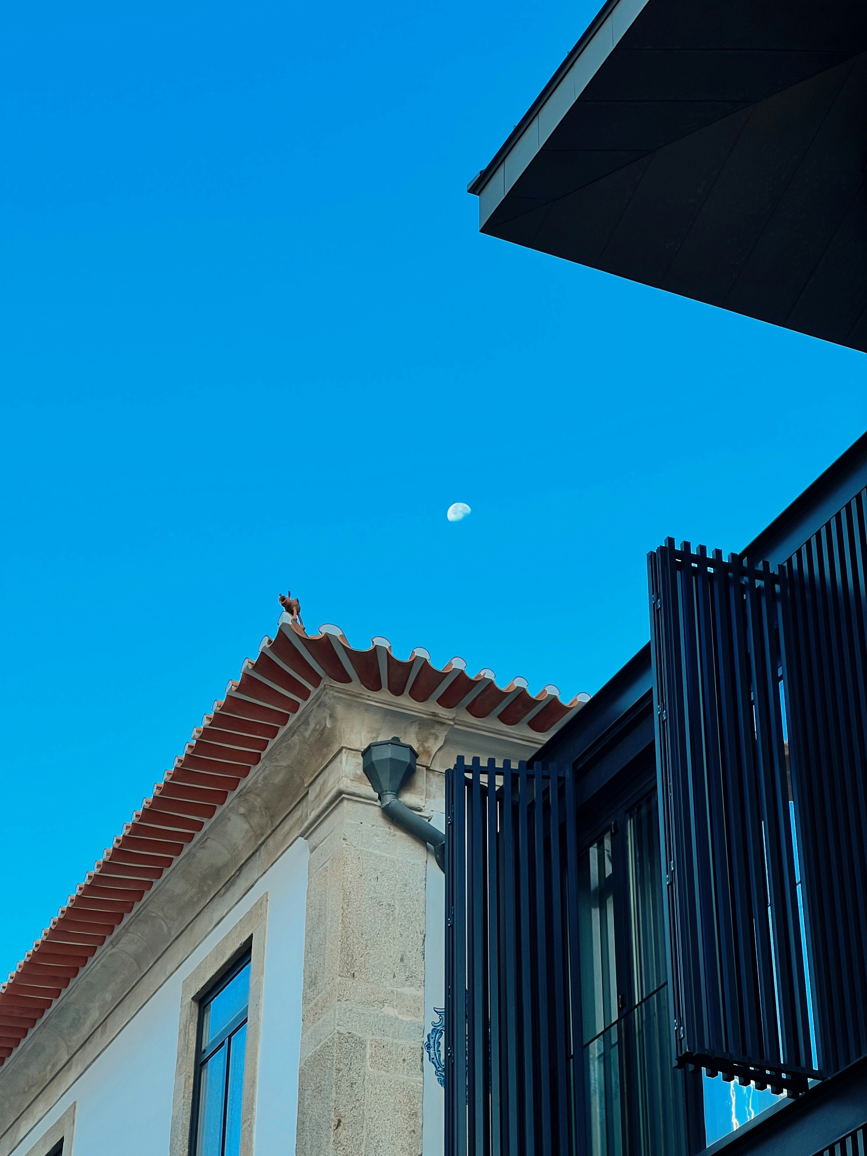 Urban Harmony: Moonlit Rooftops