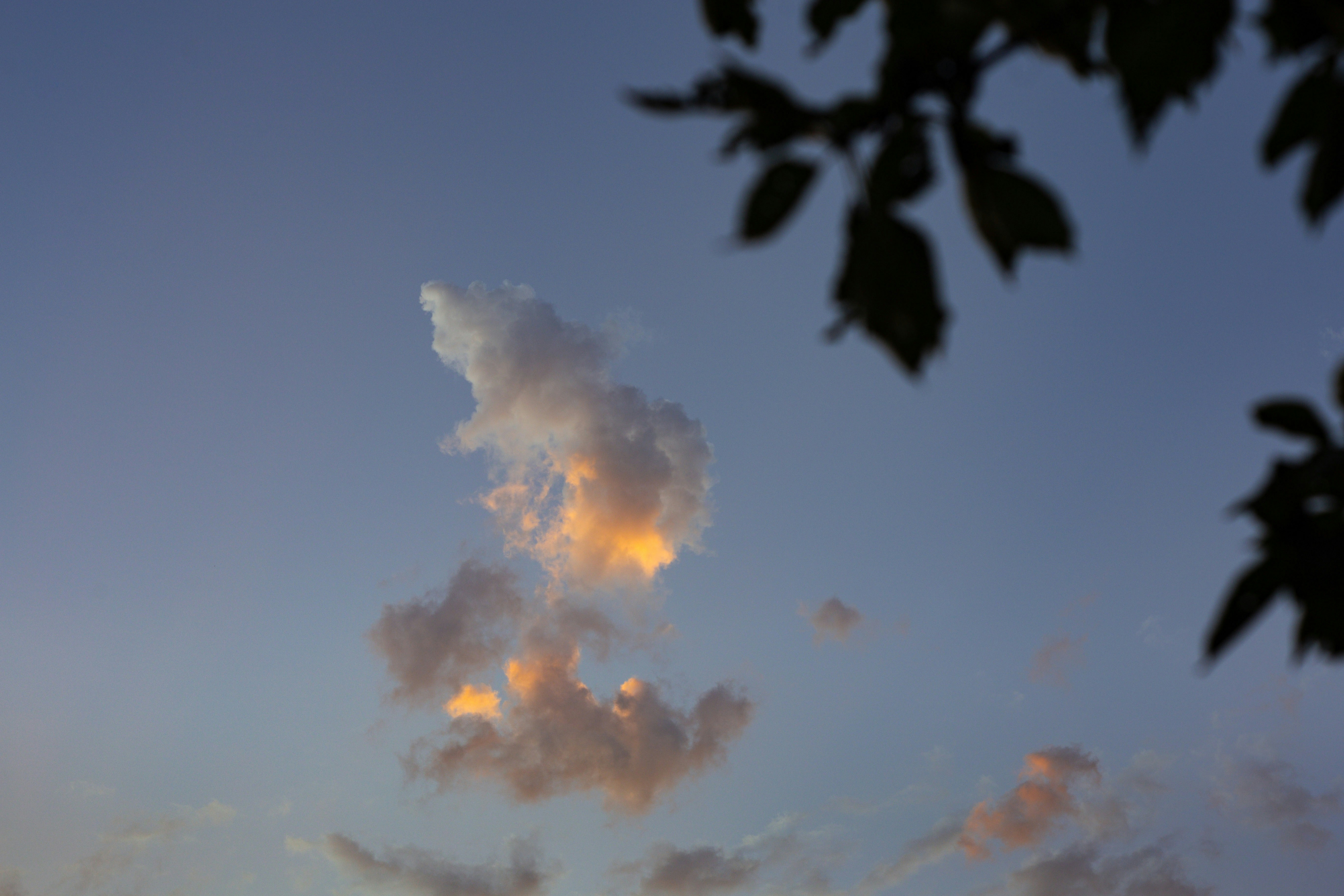 Whispers of Twilight in the Sky