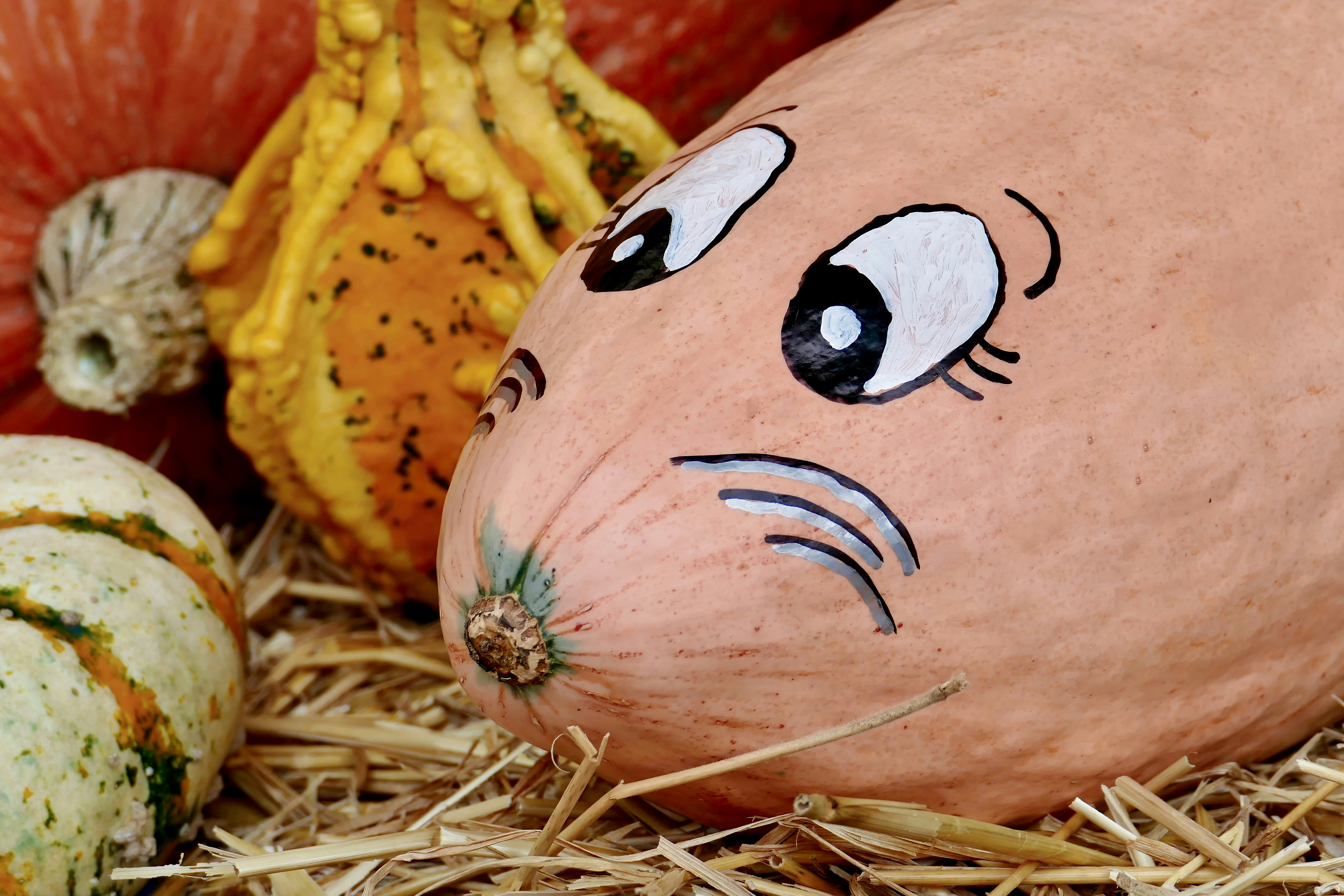 Pumpkin mouse