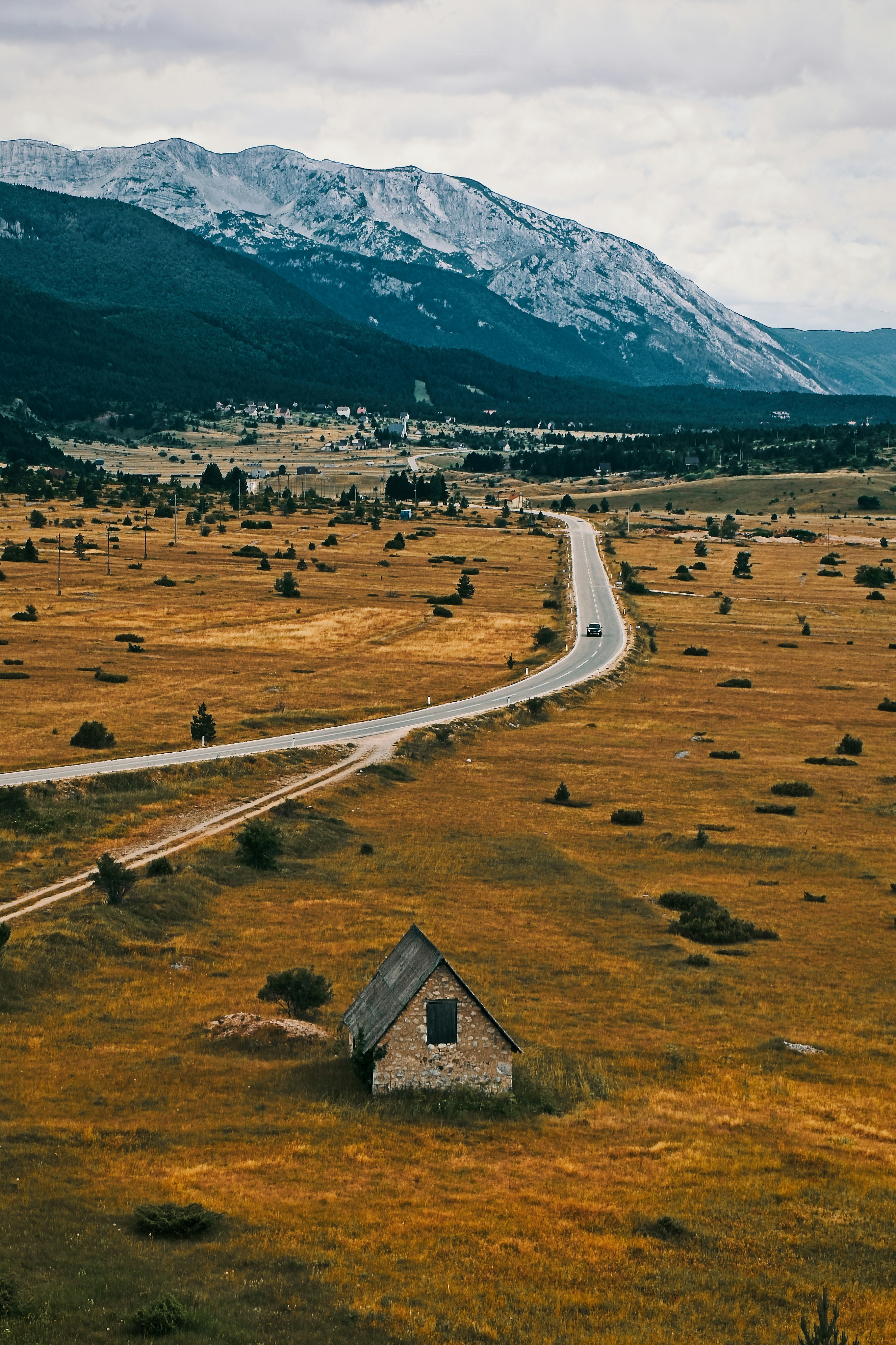 Whispers of the Forgotten Road