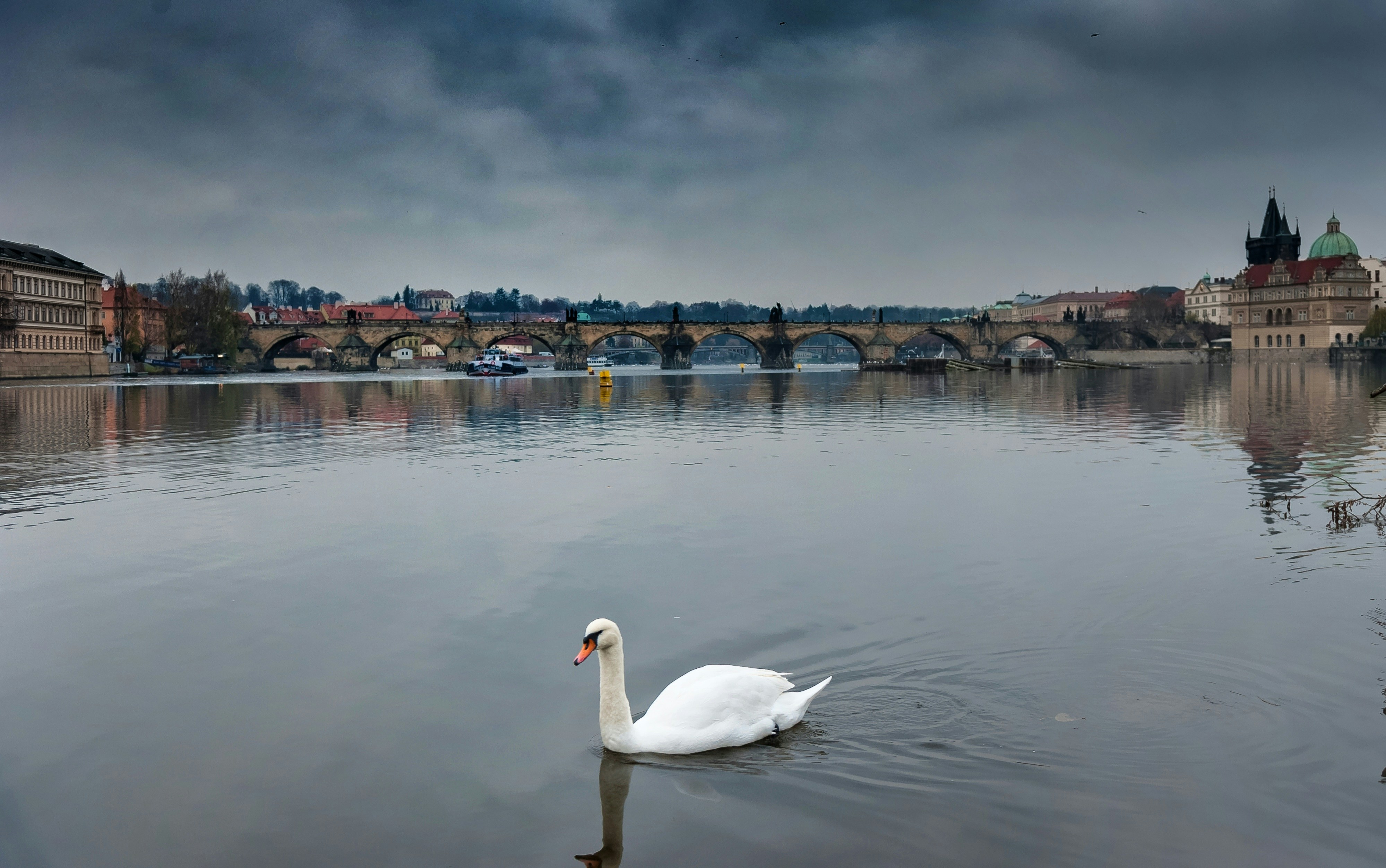 Serenity Amidst the Urban Landscape