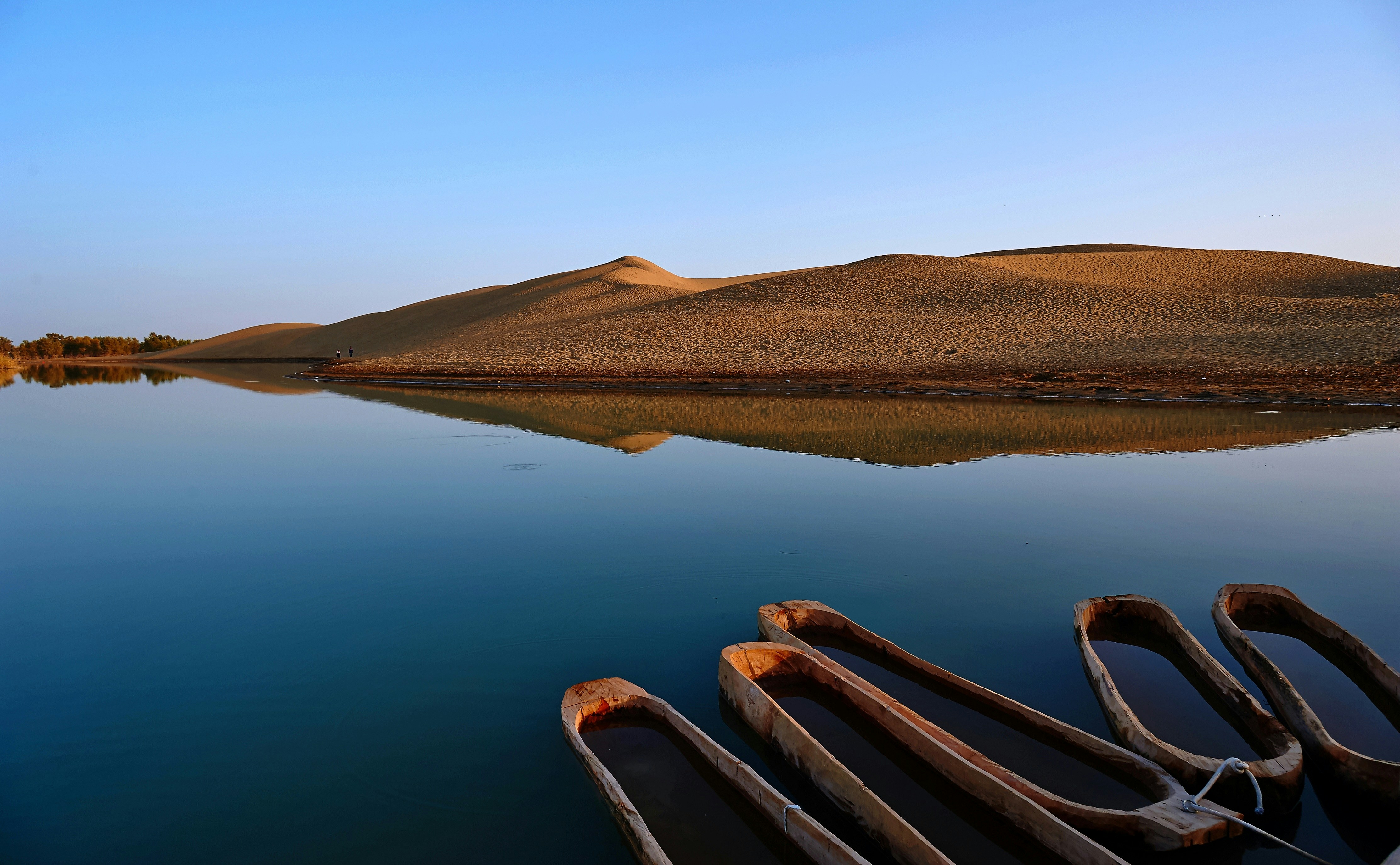 Serenity at the Water's Edge