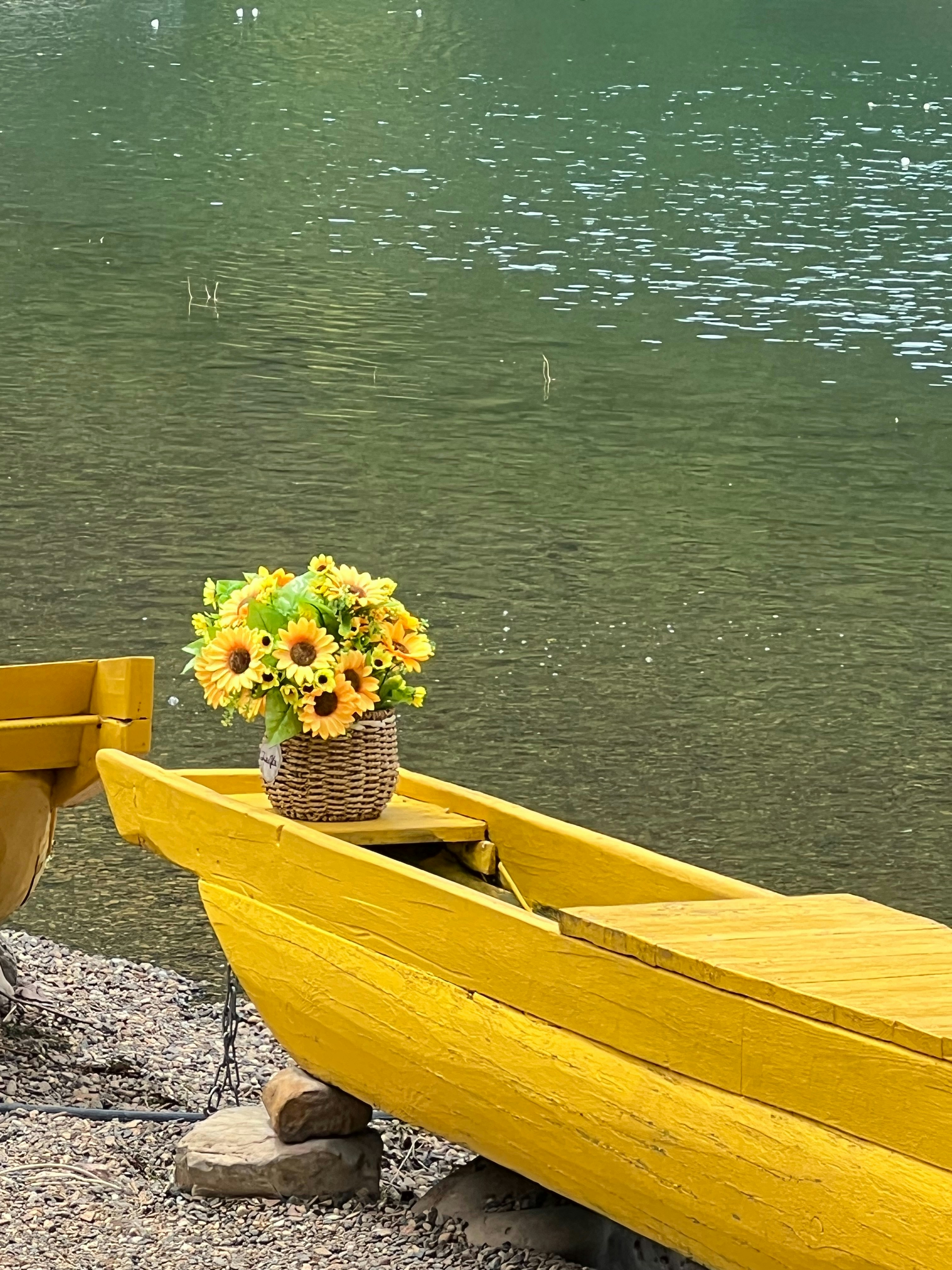 Yellow boat with sunflowers by the water