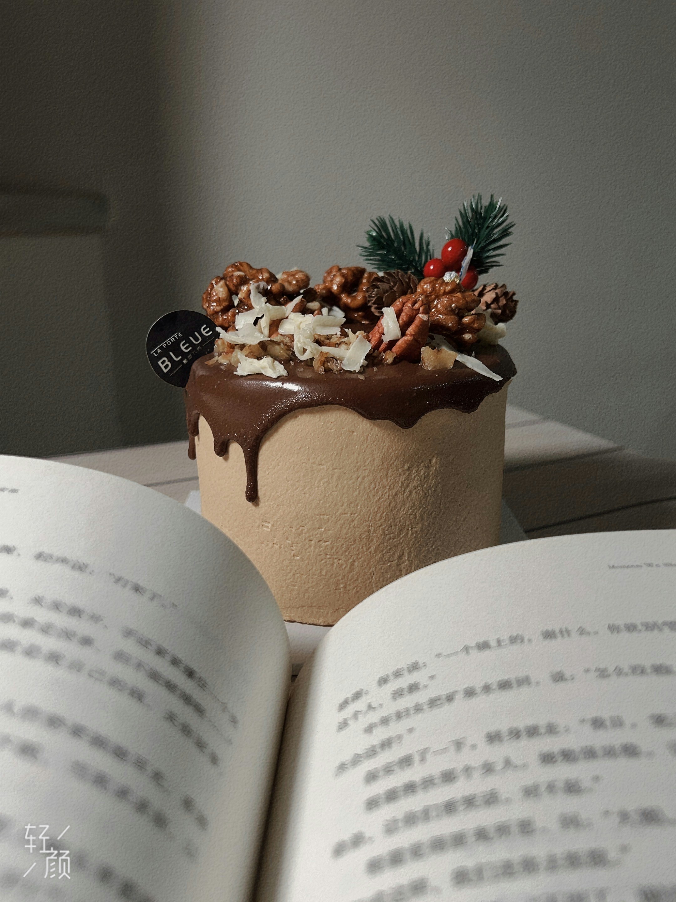 A decorated cake sits beside an open book