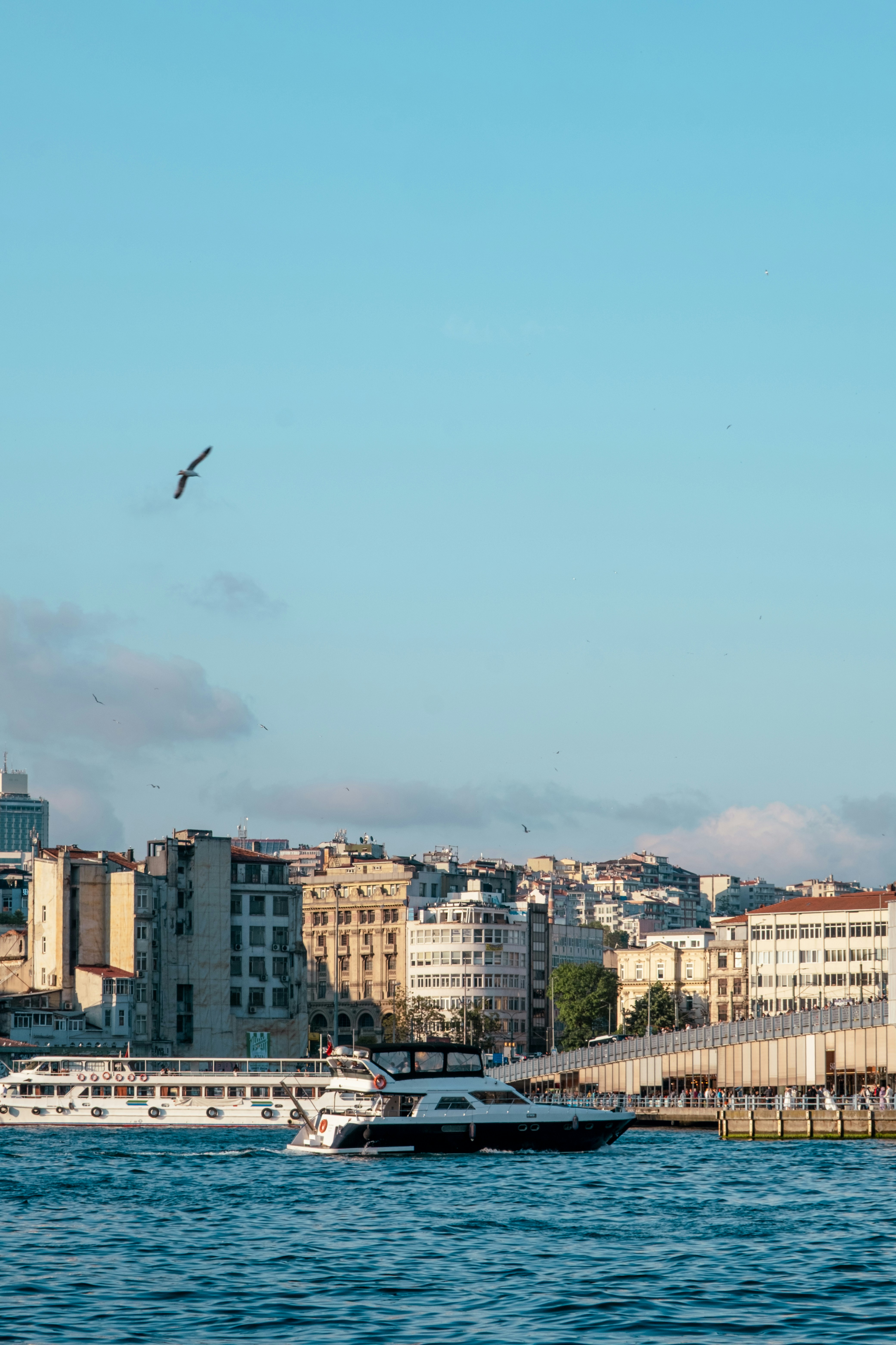 Urban Serenity: A Glimpse of City Life by the Water