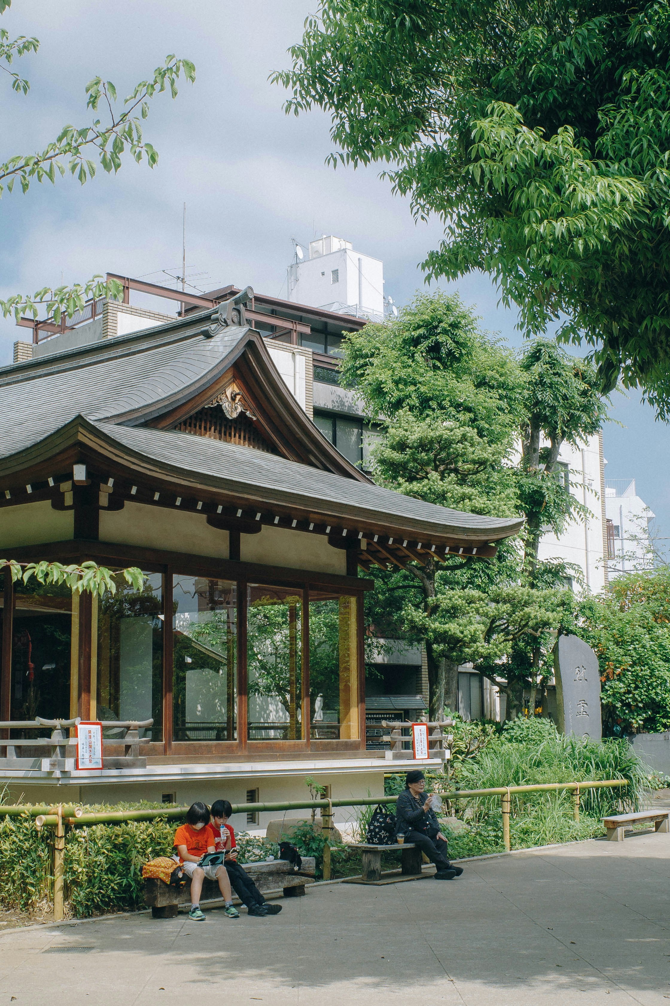 Timber Roof, Urban Skyline: A Temple Courtyard Framed by Greenery