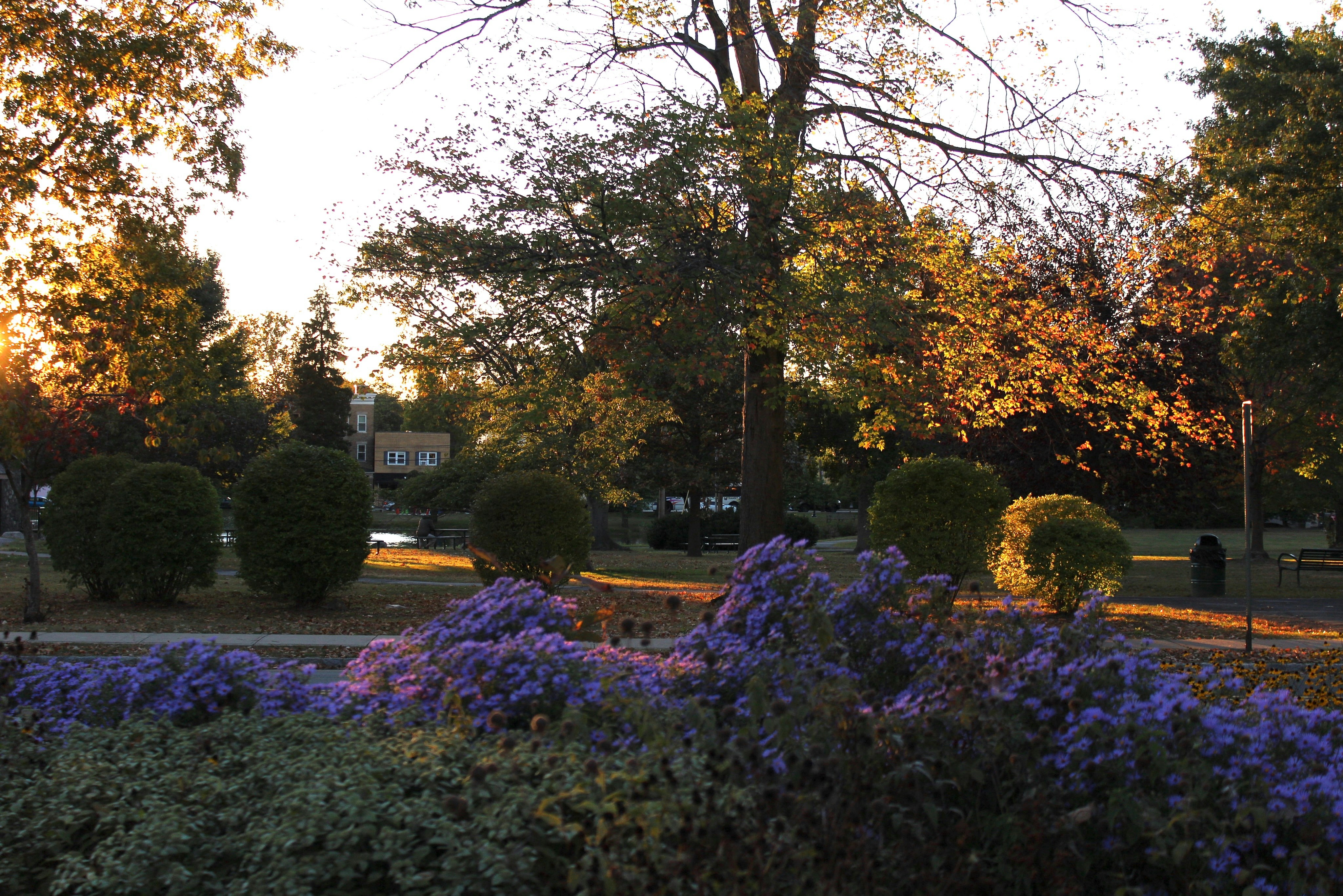 Photo by Dalton Graves with Canon EOS 1200D