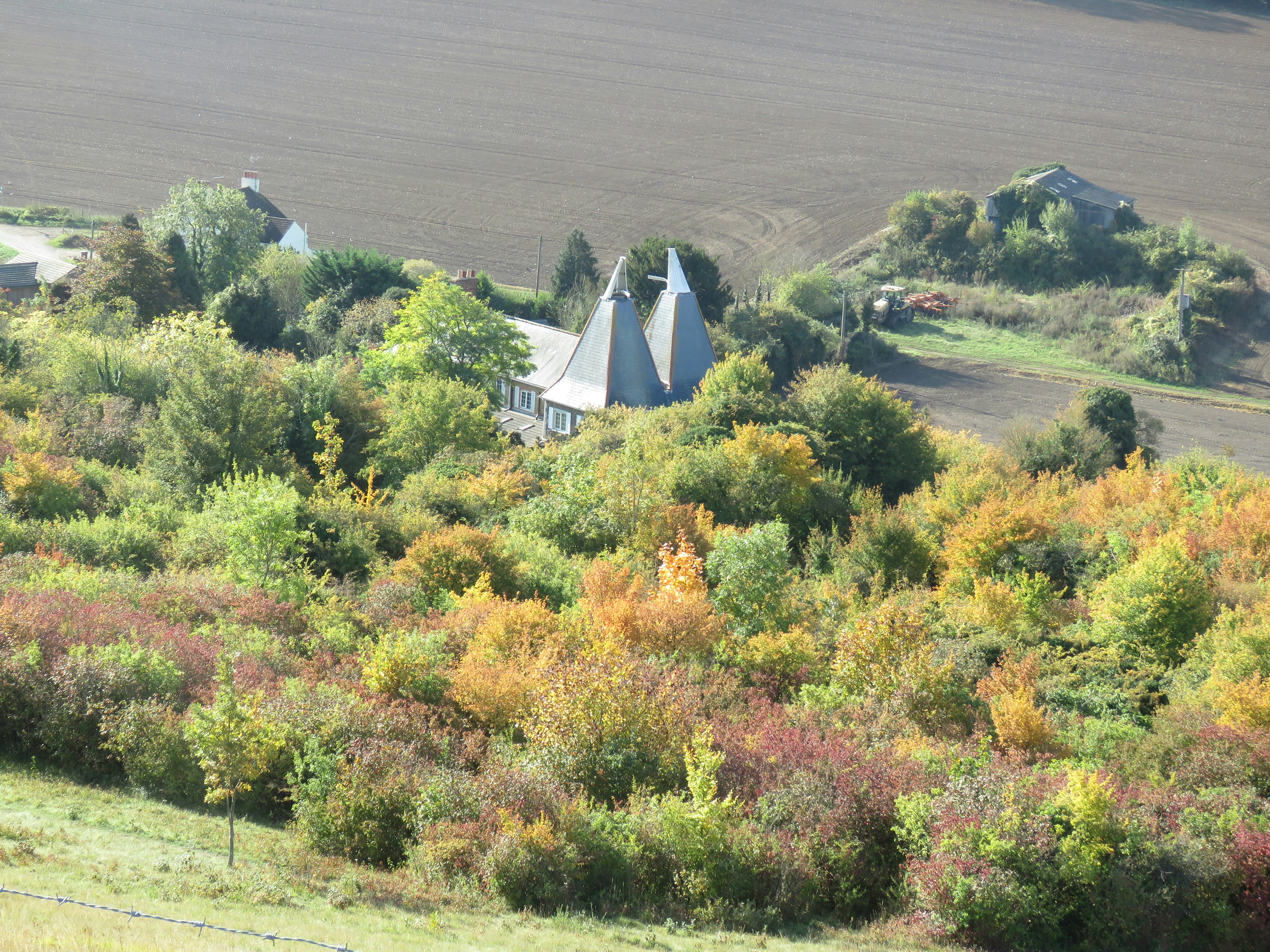 Whispers of Autumn: A Hidden Retreat