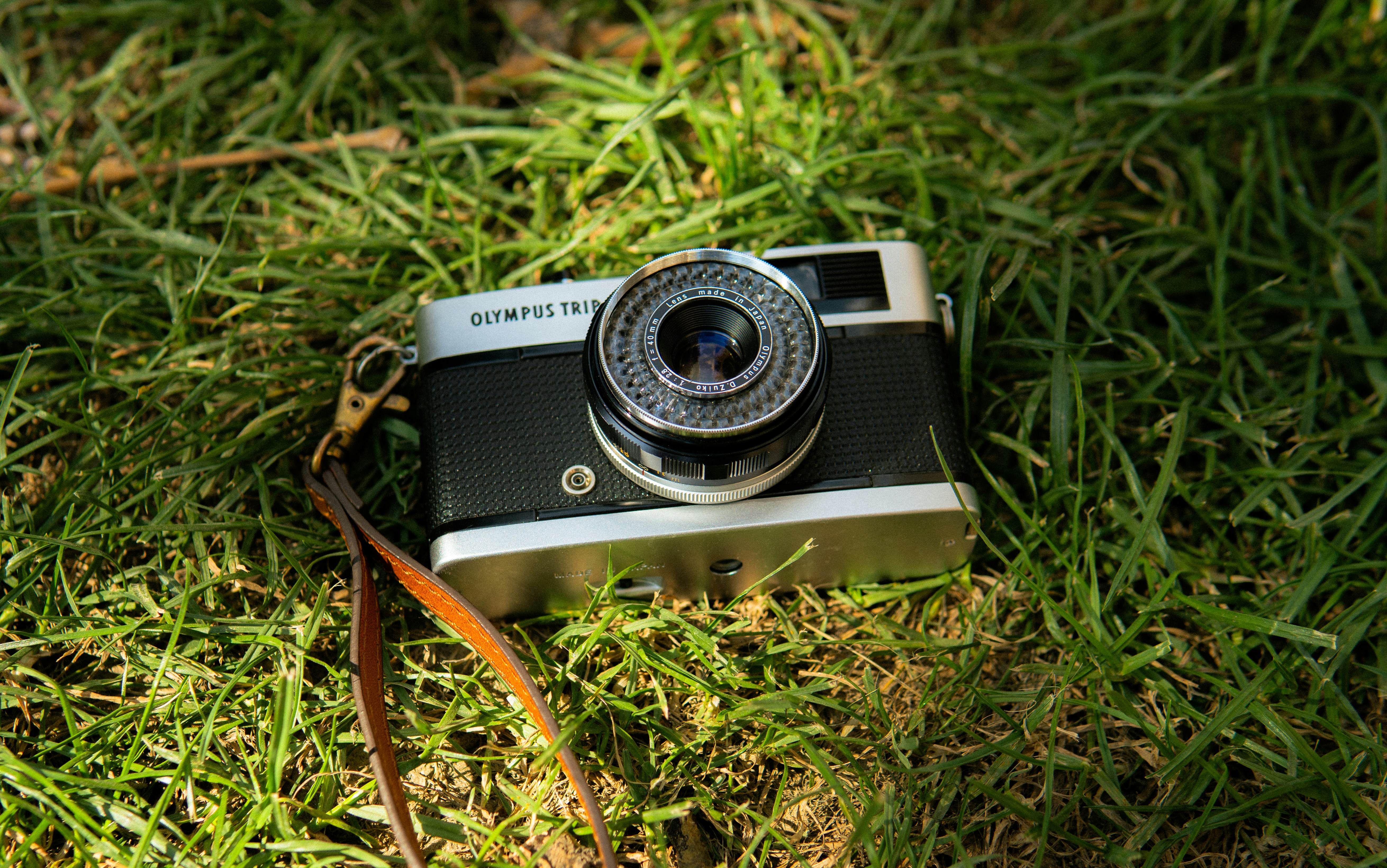Timeless Charm of Vintage Photography