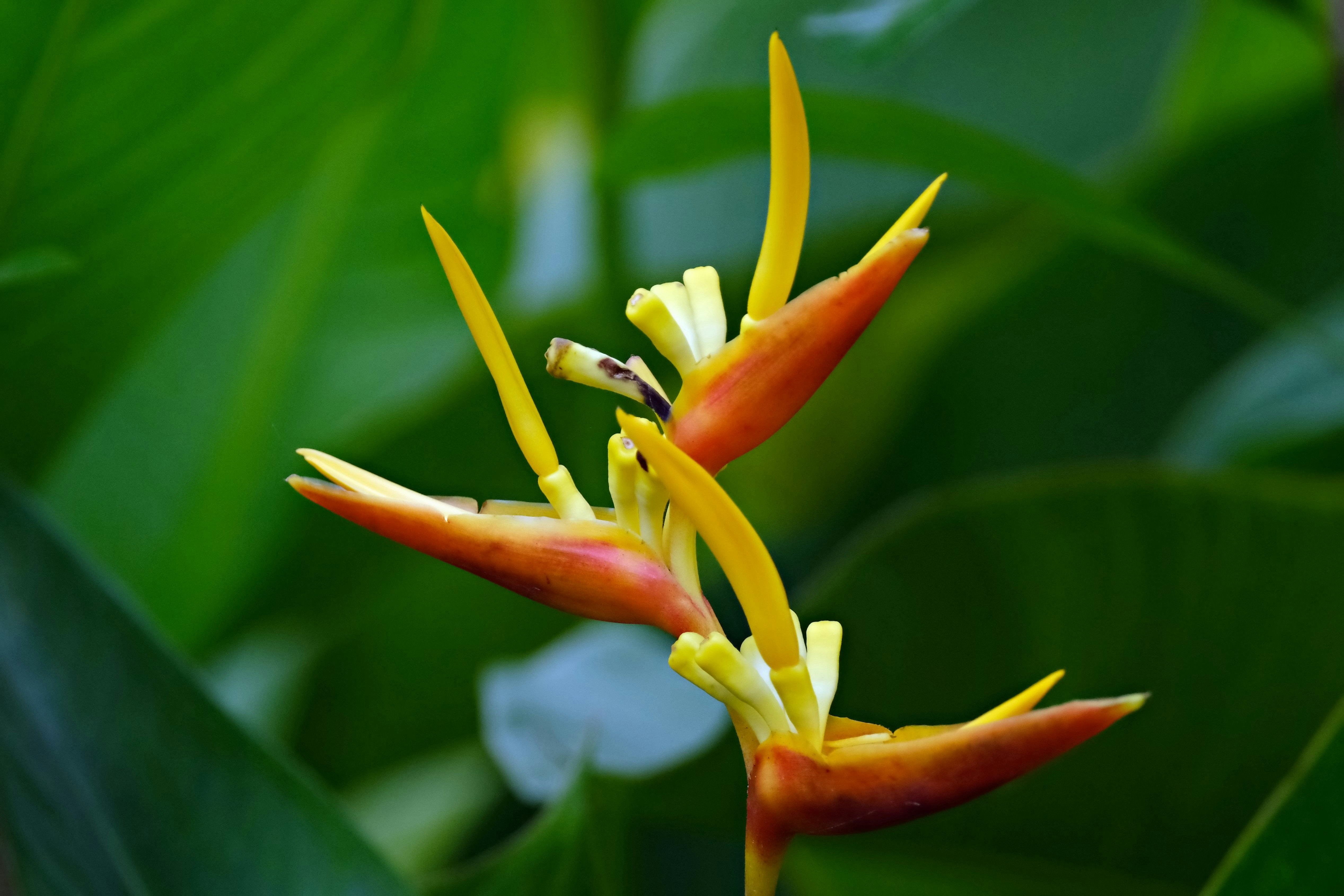 Photo by hartono subagio with Fujifilm X-T4