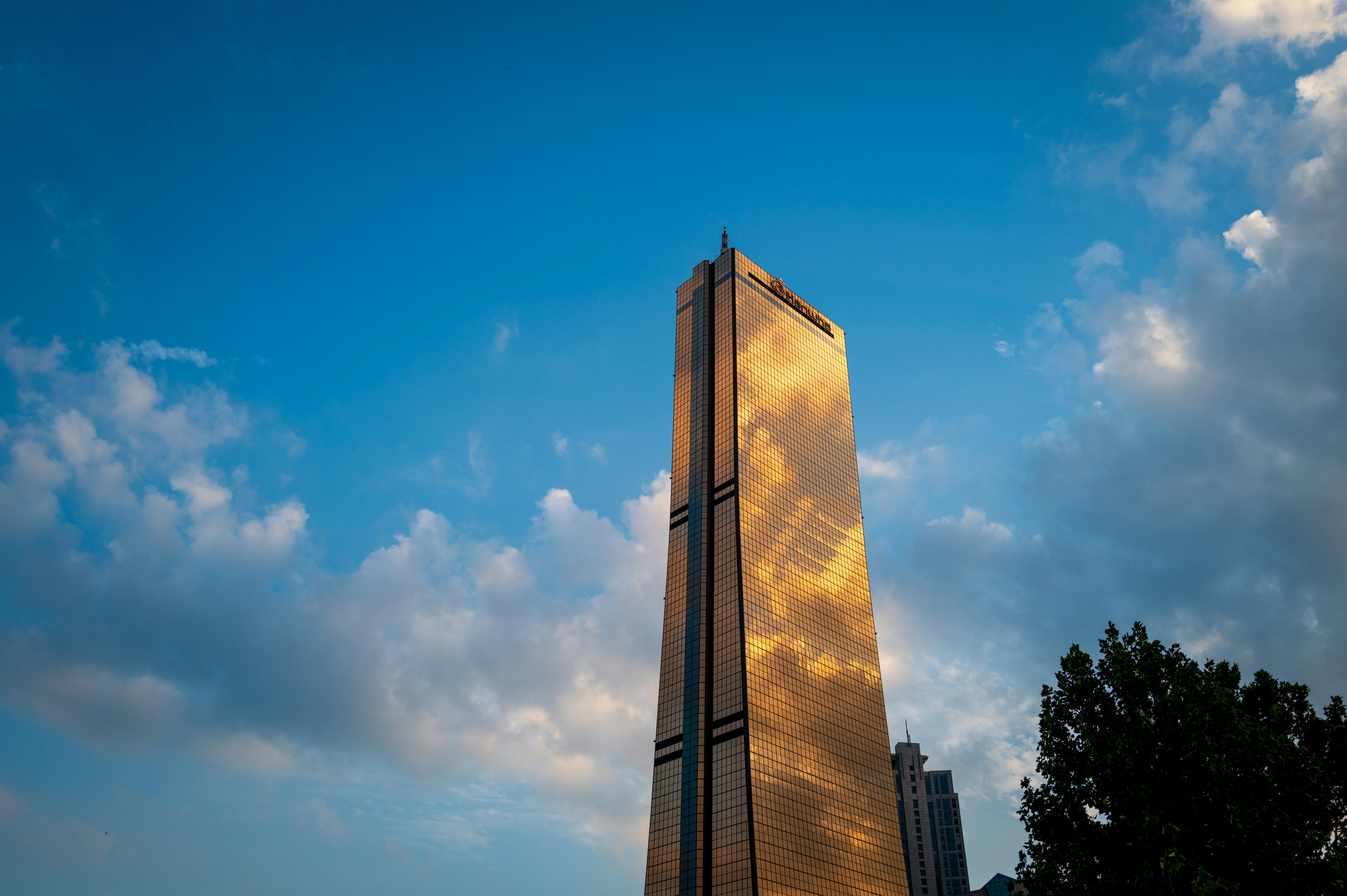 Reflections of Ambition: A Towering Icon