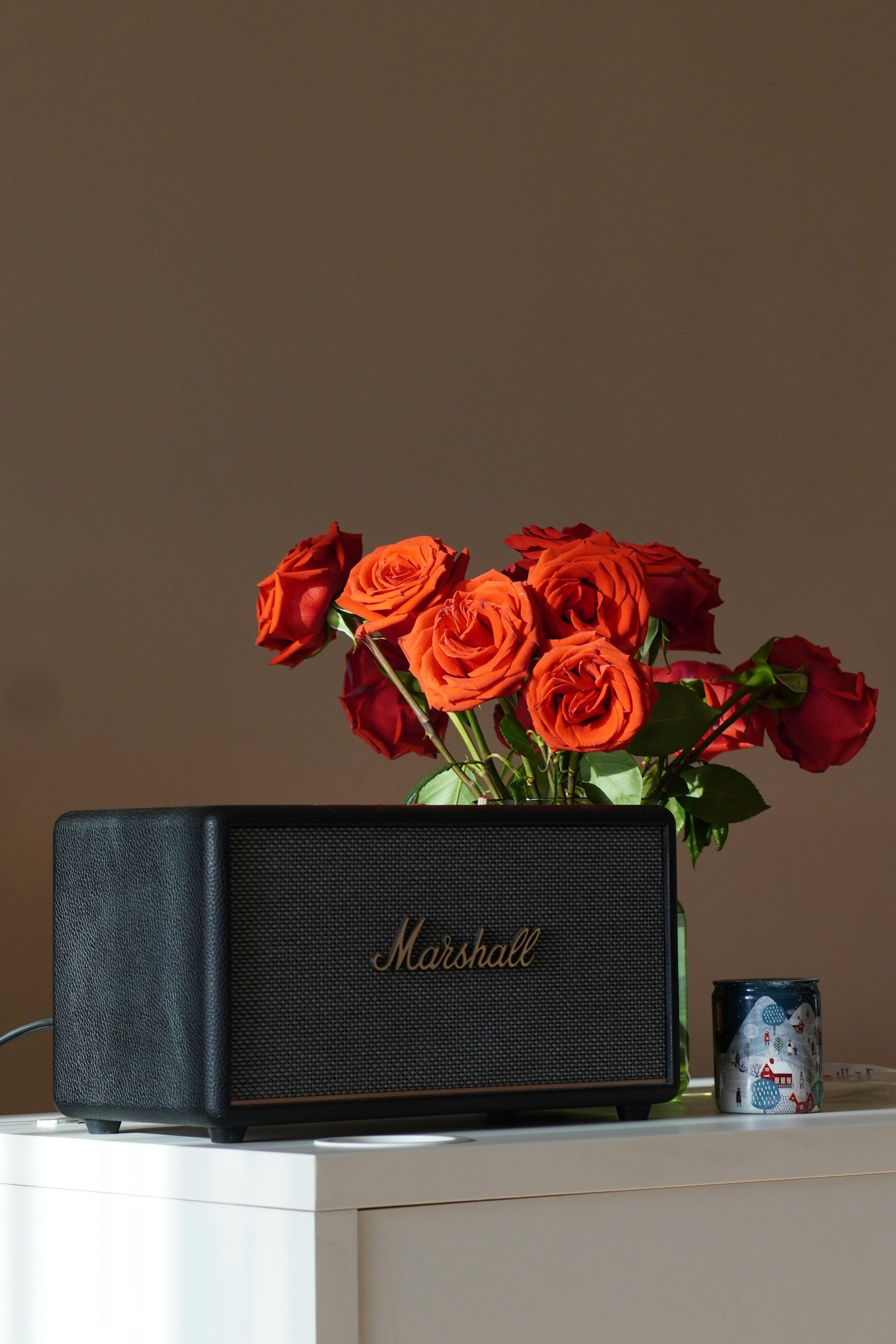 Harmony of Sound and Bloom
