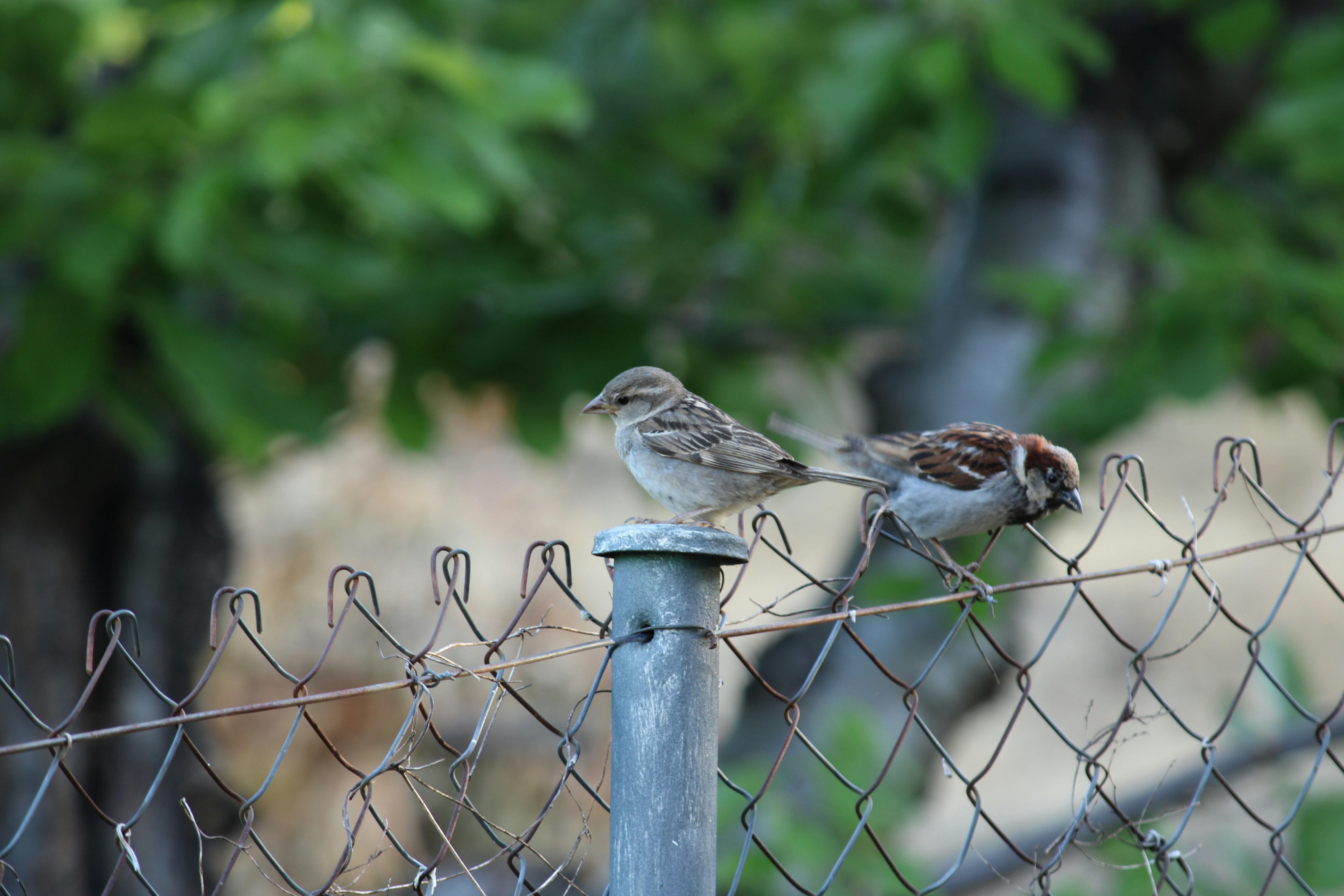 Photo by Susana Bartolome with Canon EOS 2000D