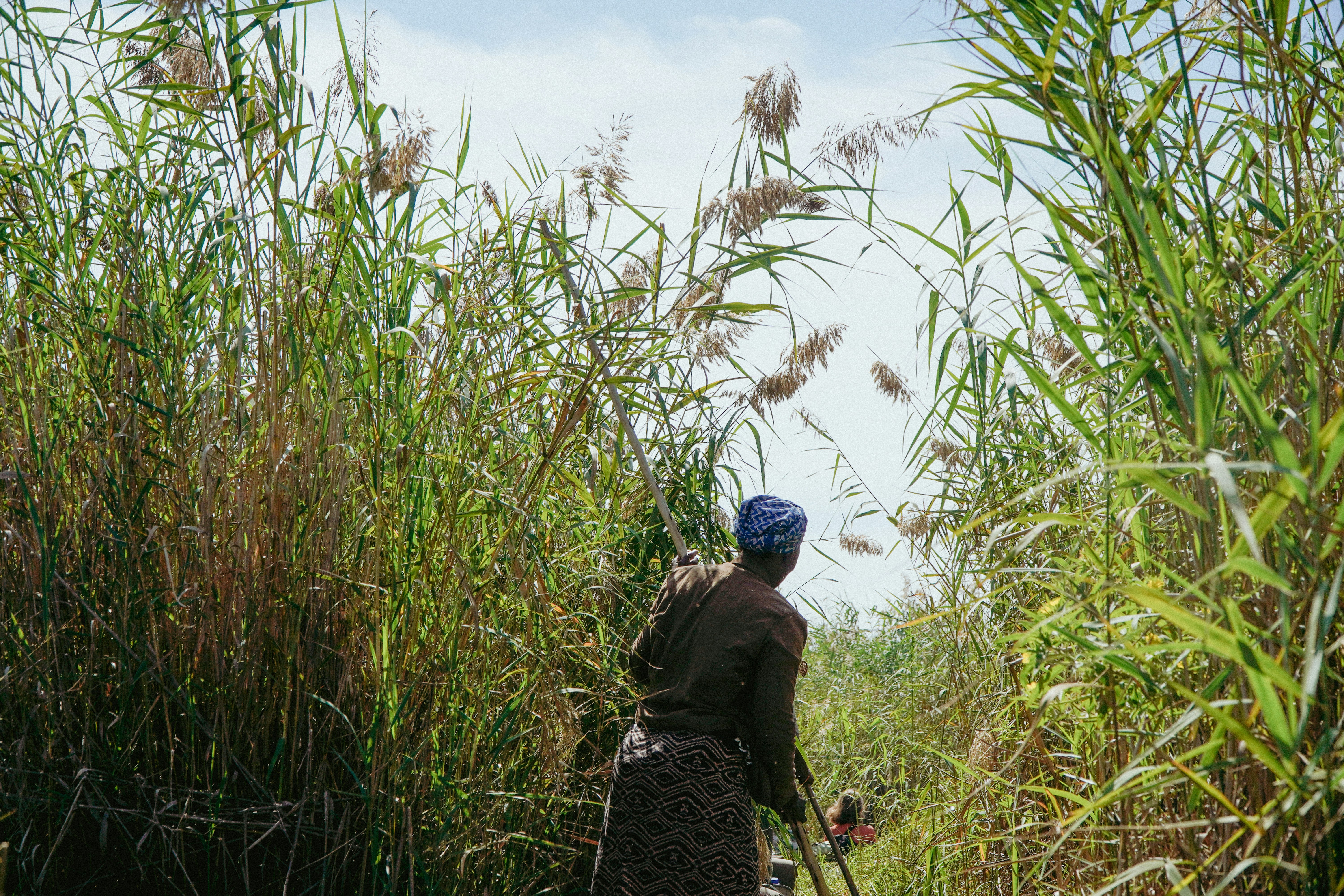 Photo by Darya Luganskaya with Sony Alpha 6400