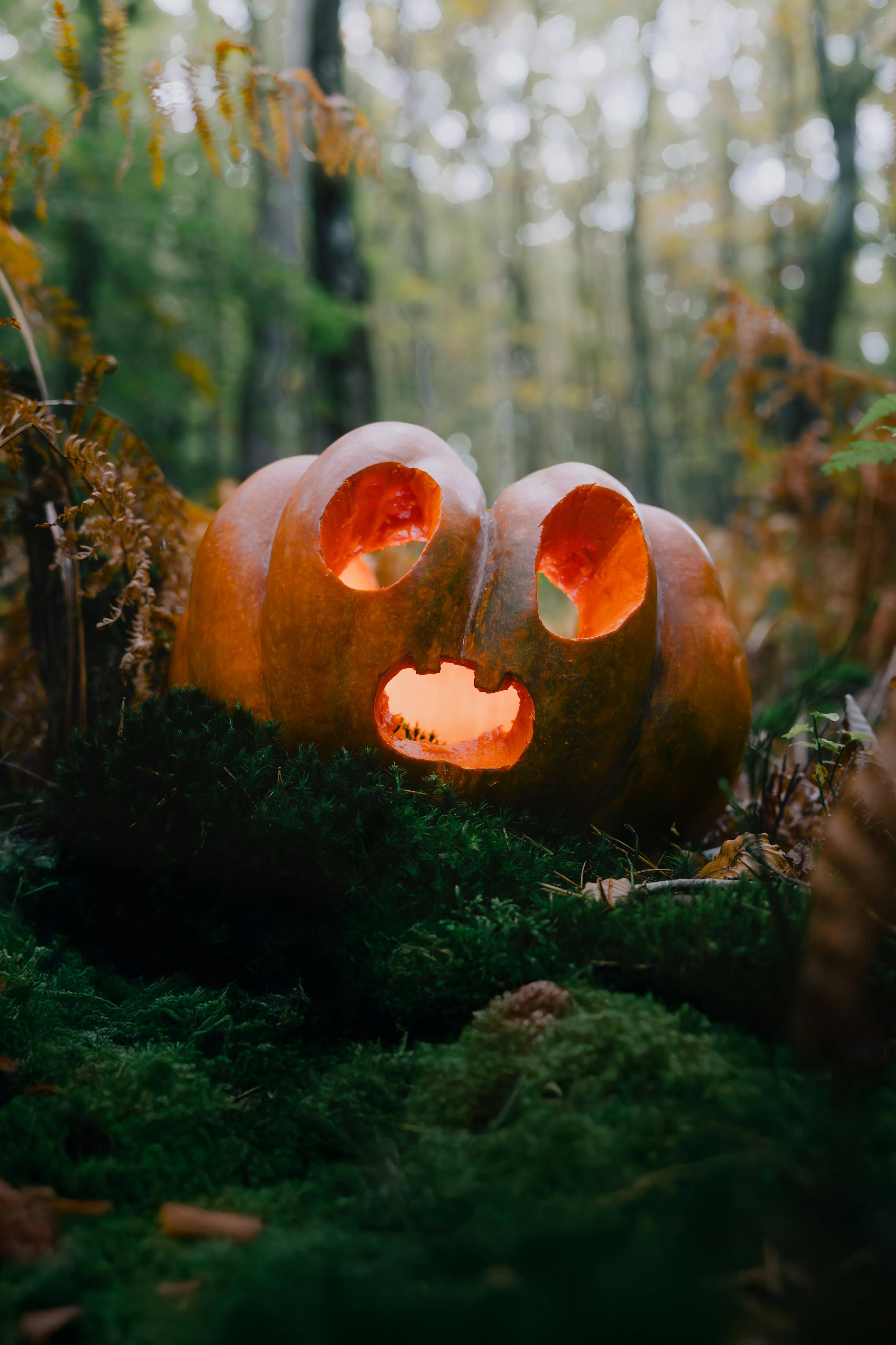 Carved pumpkin with a playful expression illuminates a mossy forest floor, surrounded by autumn foliage.