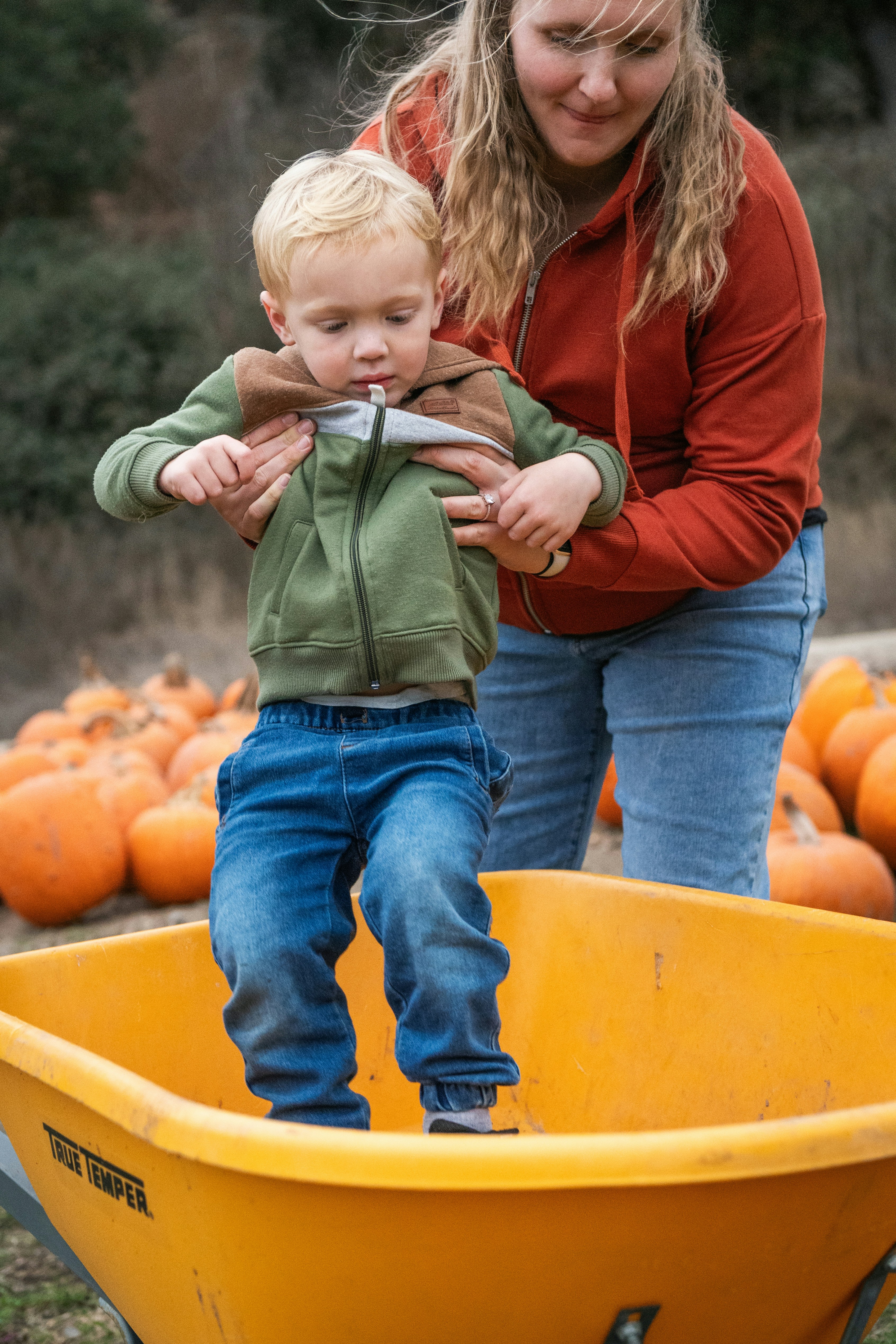 Balancing Act in the Pumpkin Patch: A Little Adventurer in a Yellow Wheelbarrow