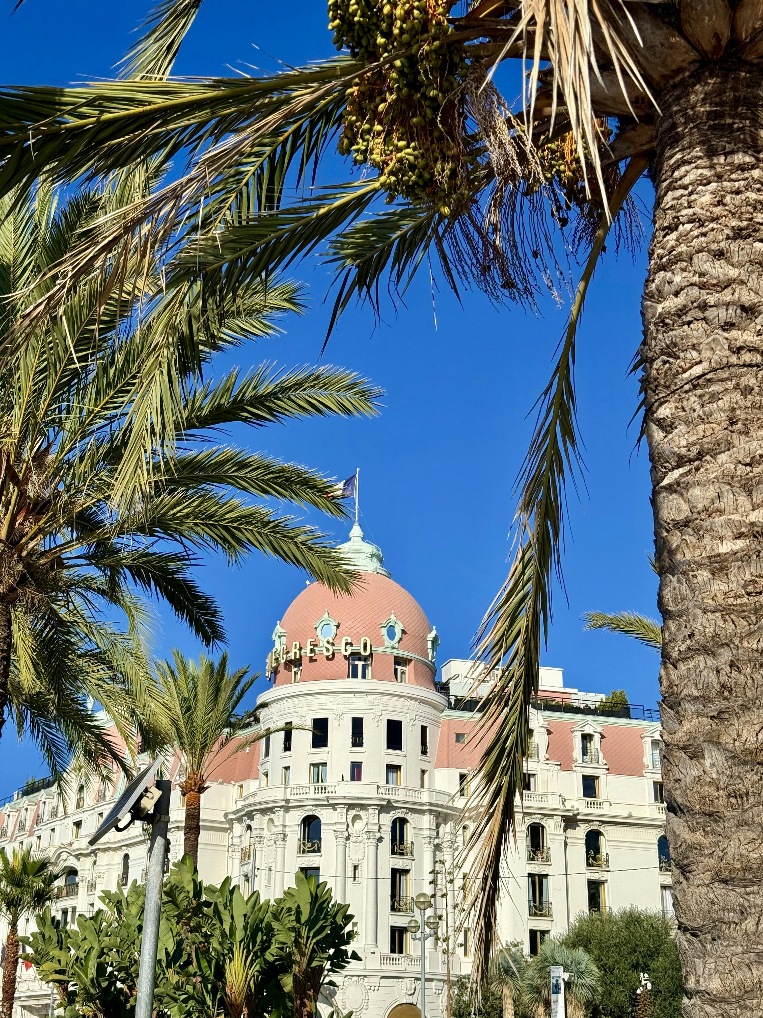Palm-Fringed Pink Dome: A Mediterranean-Style City Building Under Bright Skies