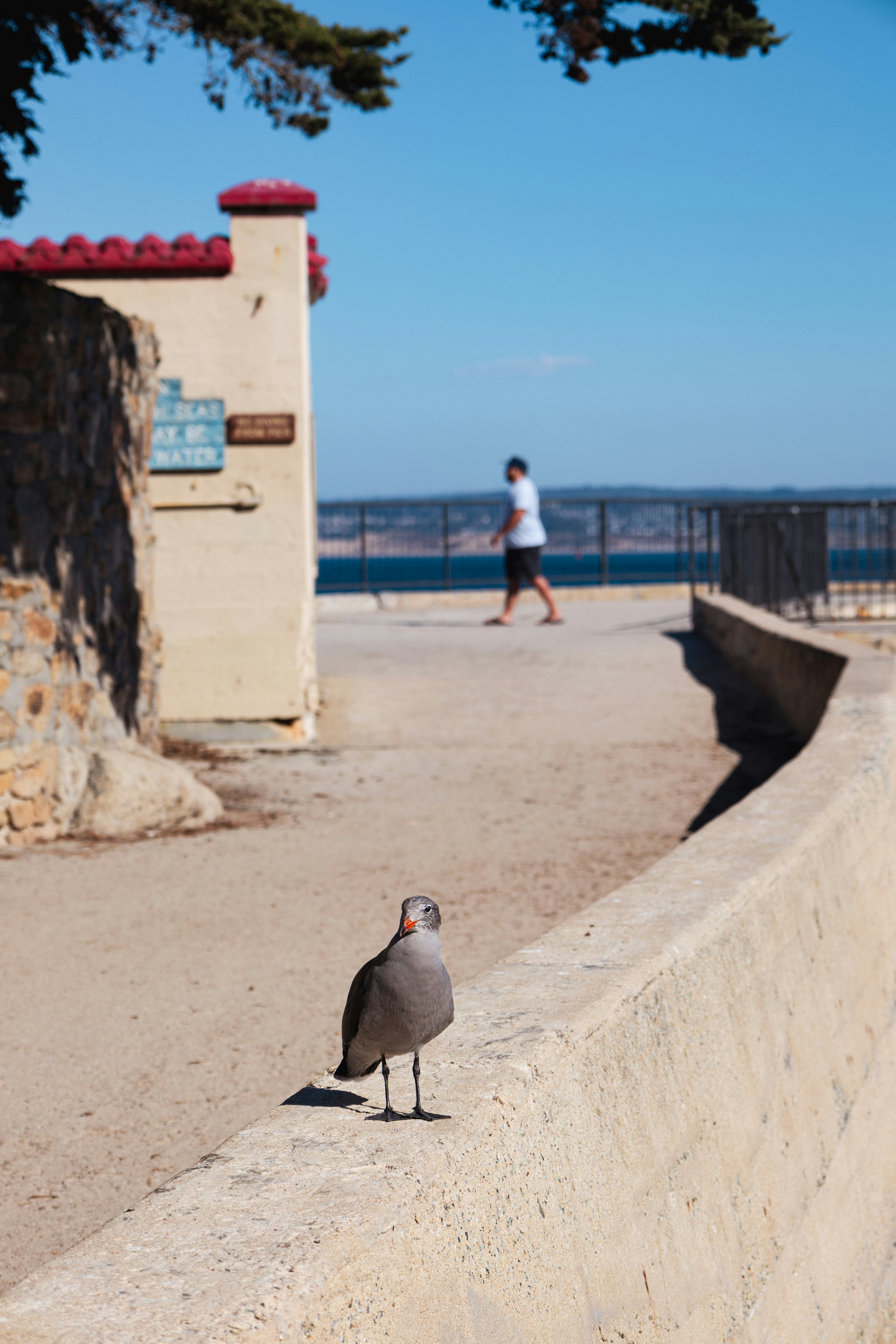 A Stroll by the Waterside: A Moment in Time