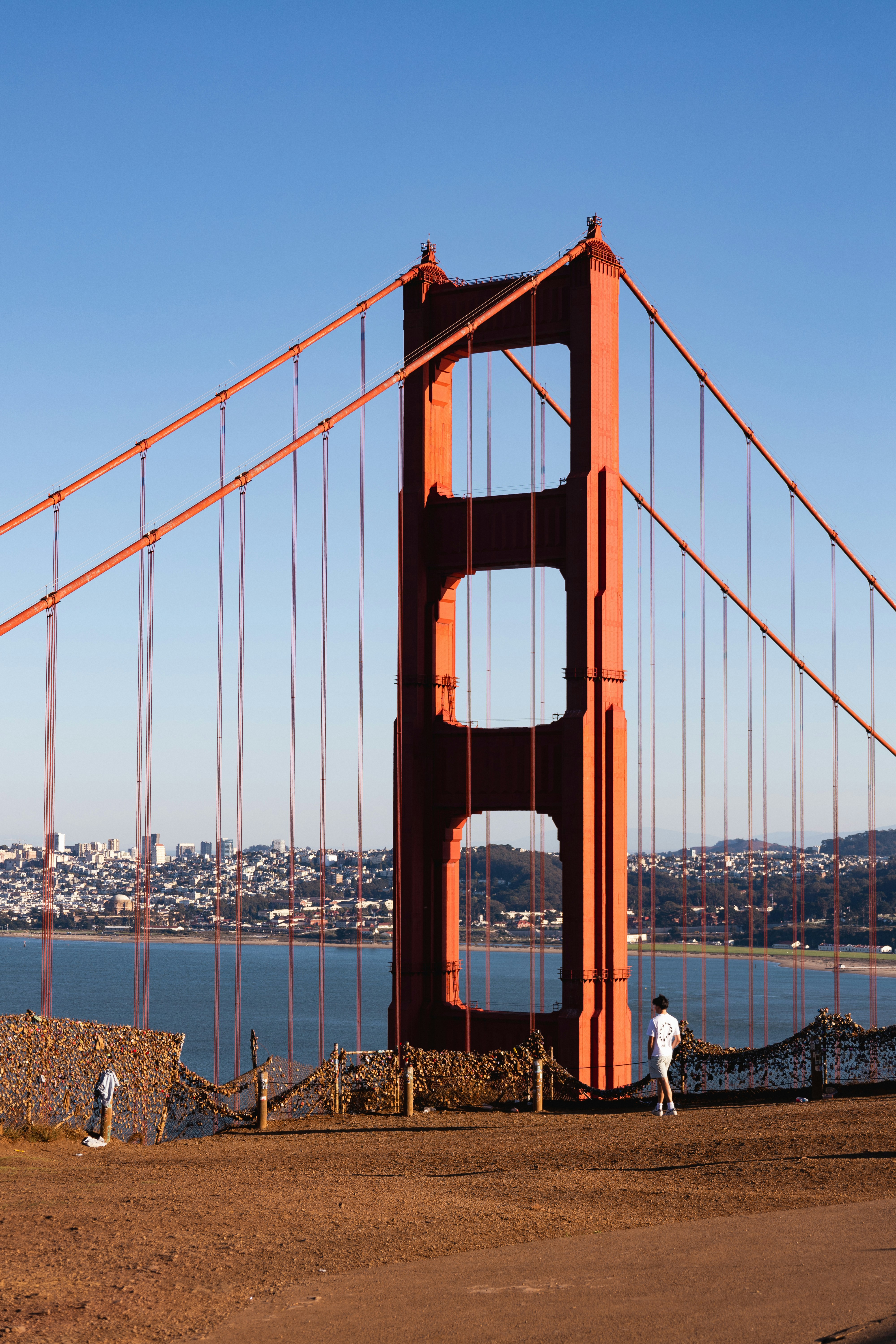 Bridging Horizons: A Day by the Bay