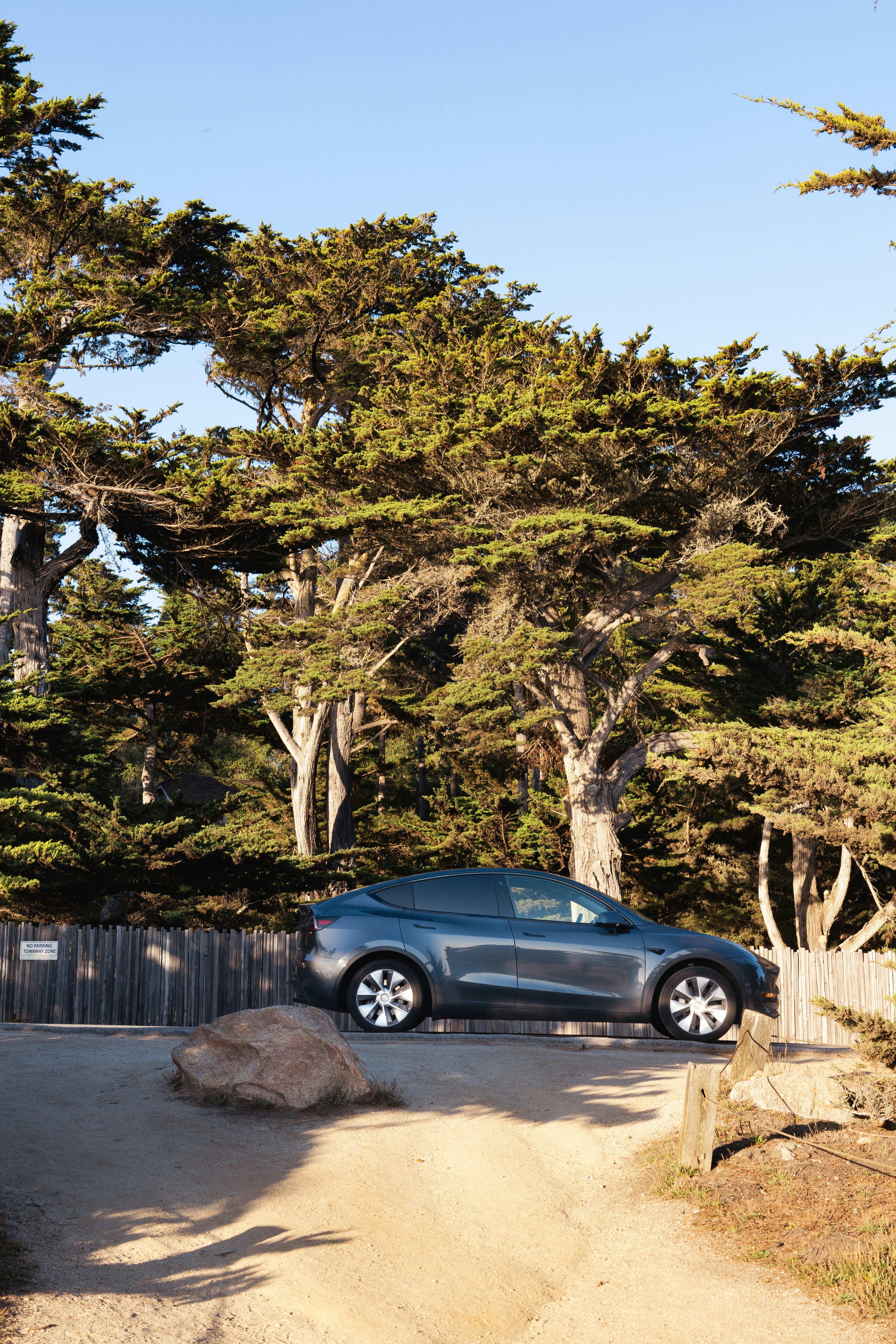 Blue sedan tucked in a sunlit pine grove by a weathered fence