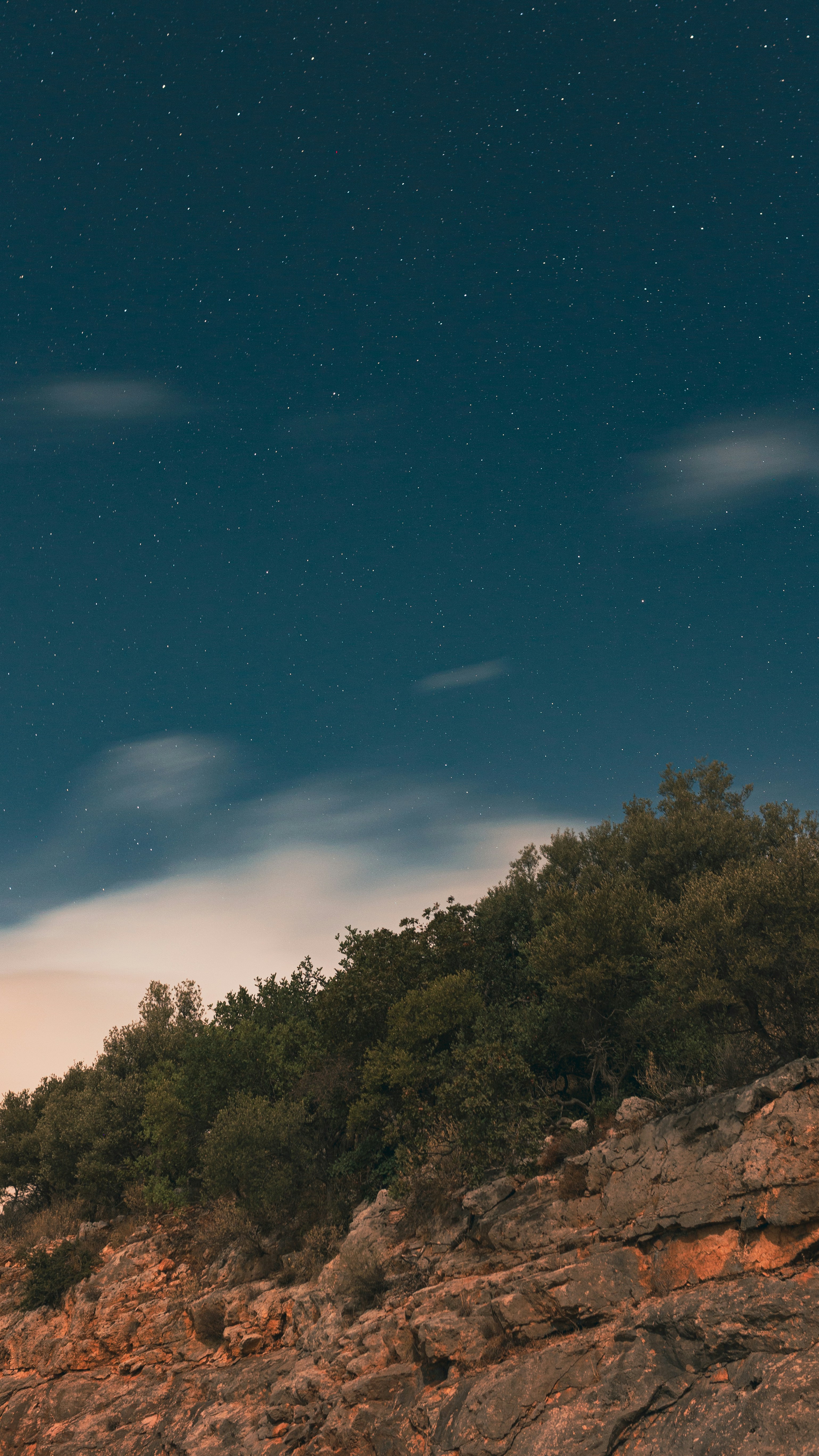 Rocky hillside with trees under a starry night sky.