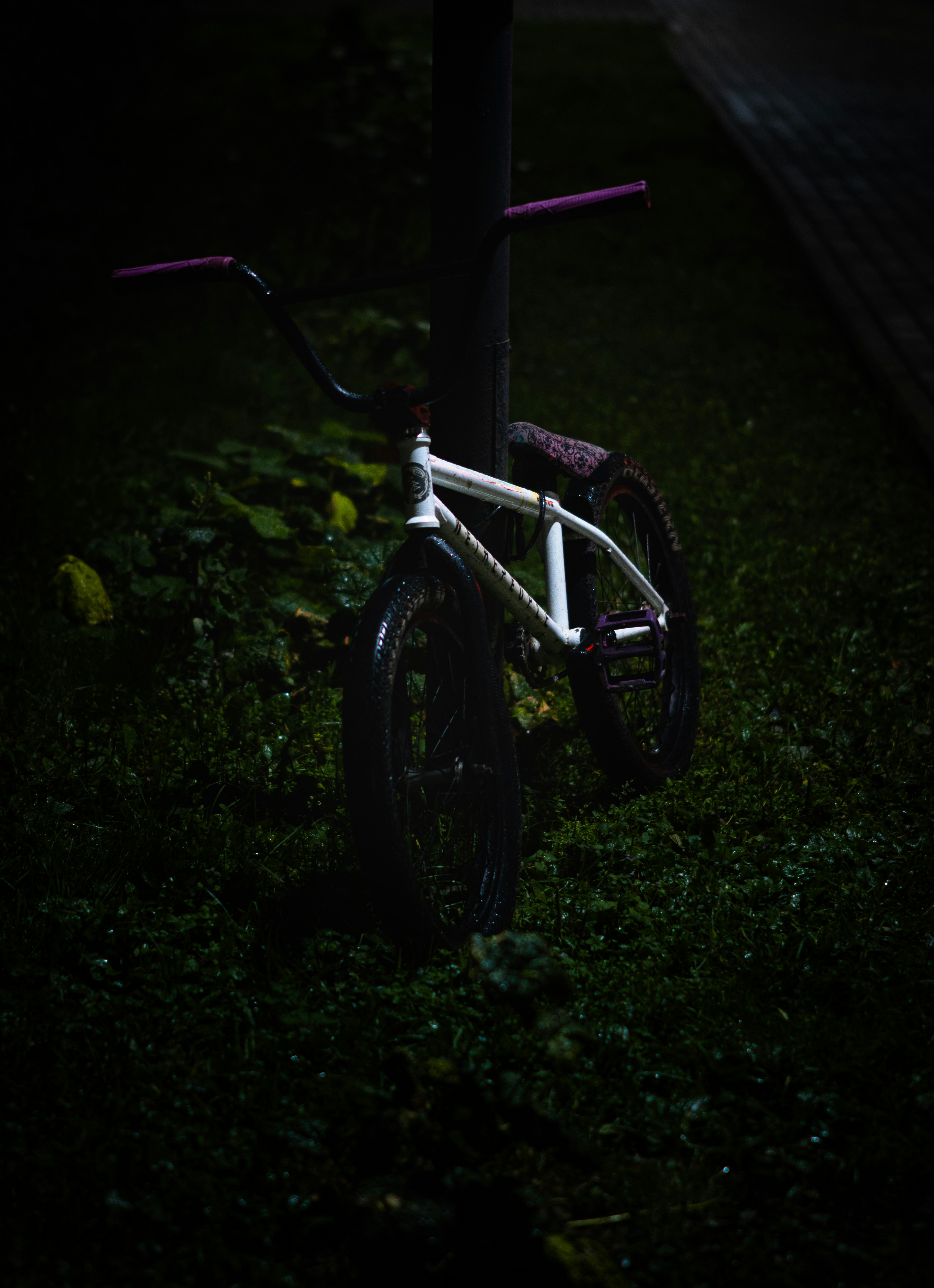 Whispers of Abandonment: A Forgotten Ride